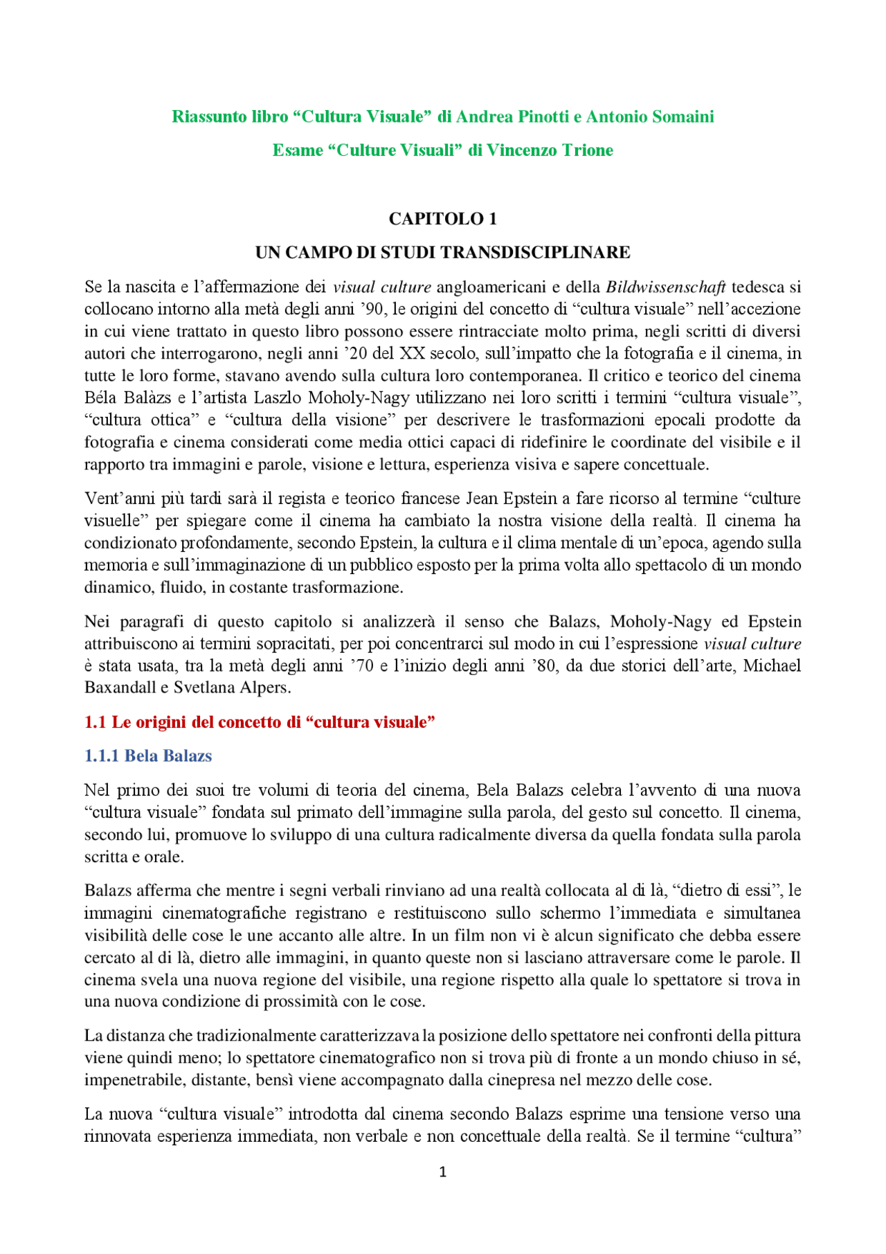 Riassunto Cultura Visuale Docsity