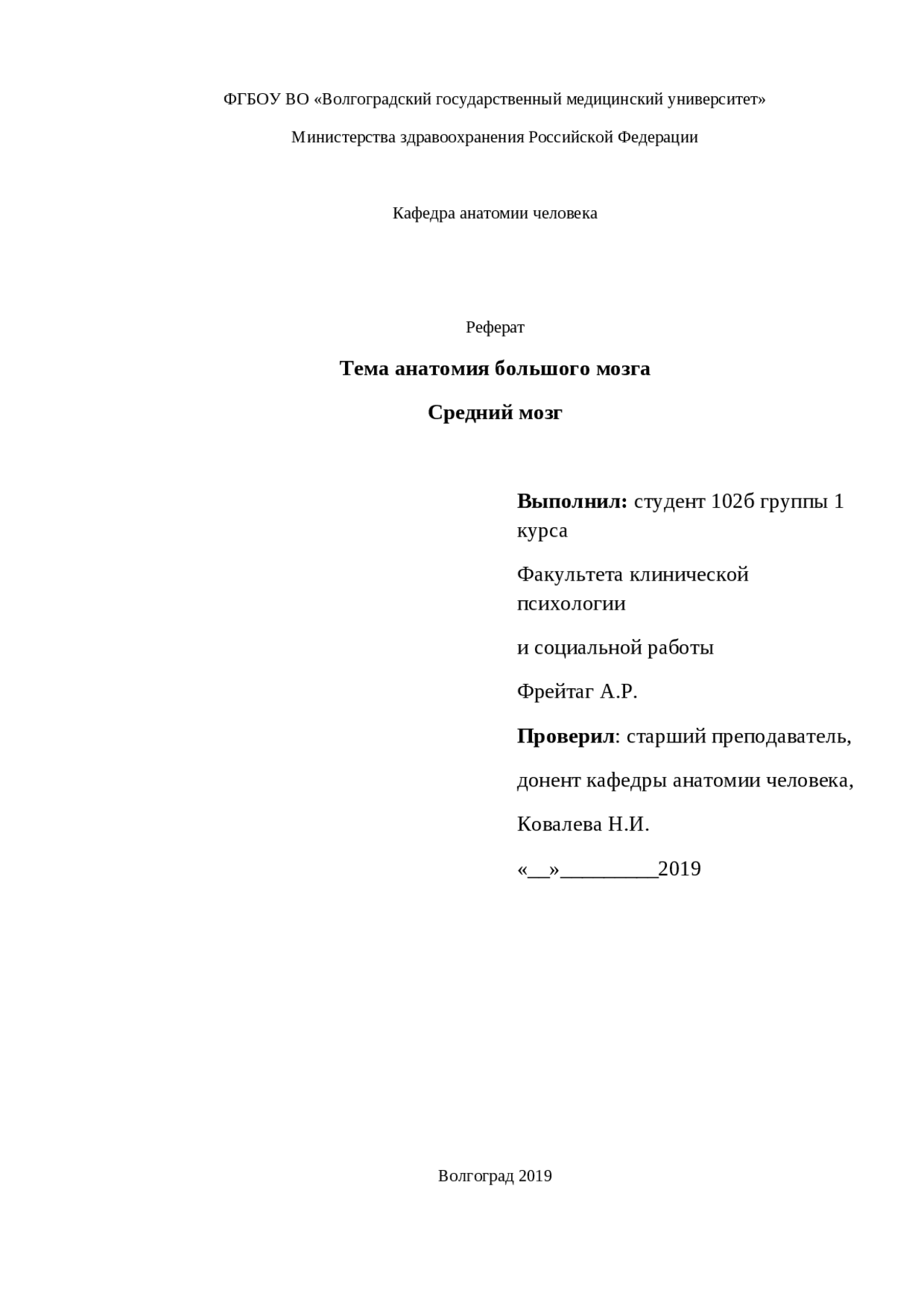 средний мозг и анатомия большого мозга Docsity