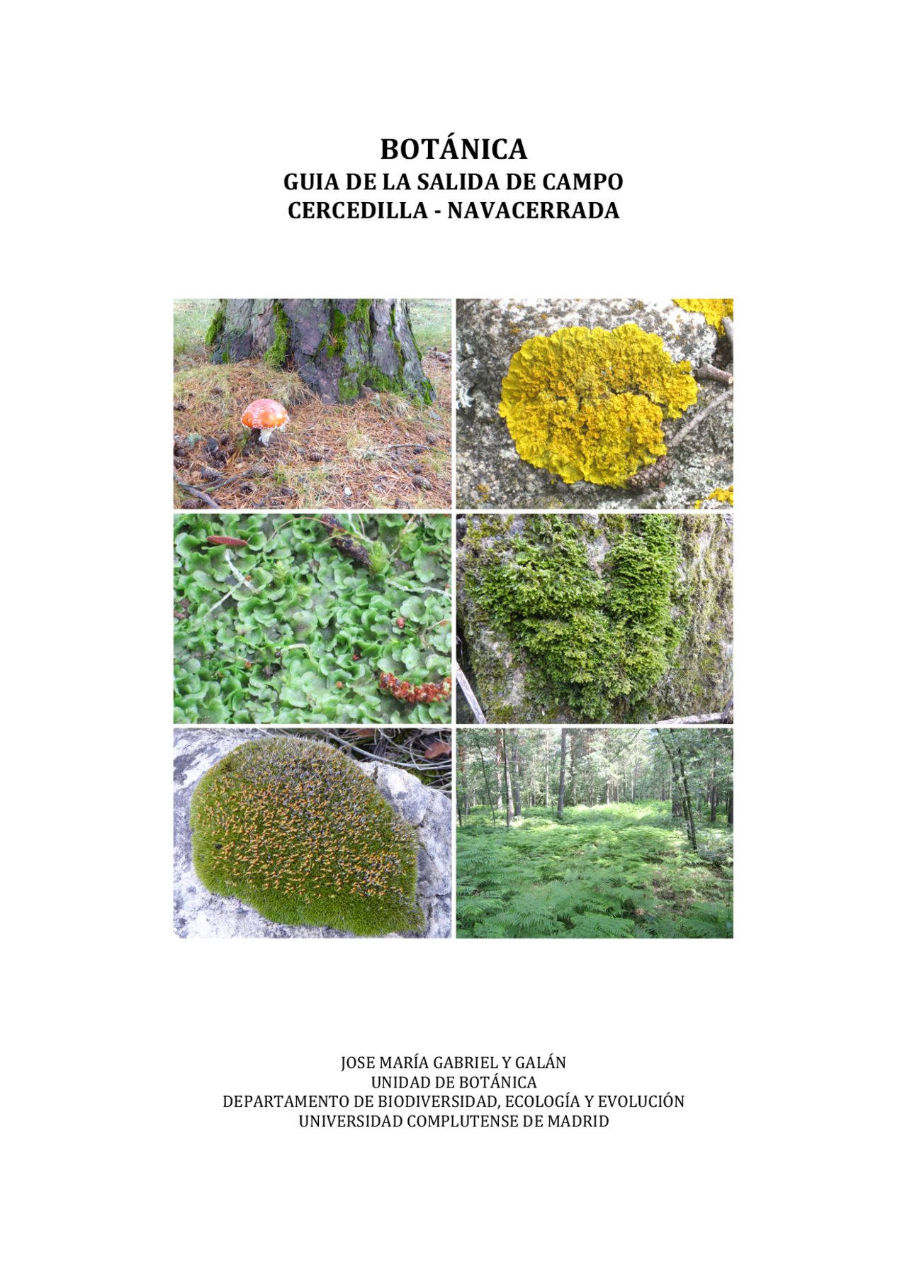 BotÁnica Guia De Docsity
