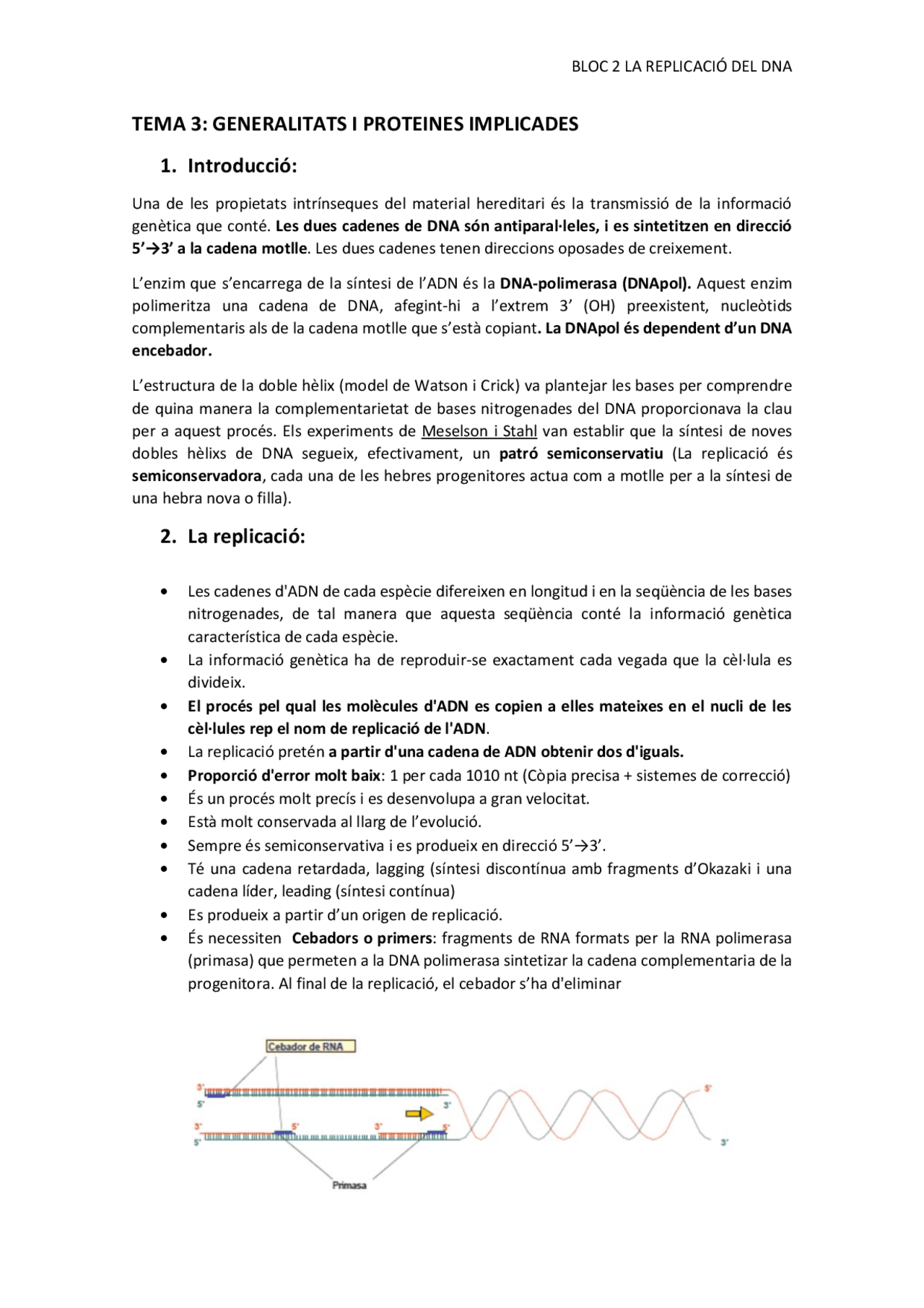 Apunts Genètica Molecular Docsity