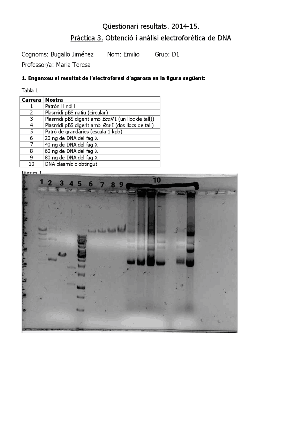 Obtencion Y Cuantificacion De Dna Docsity