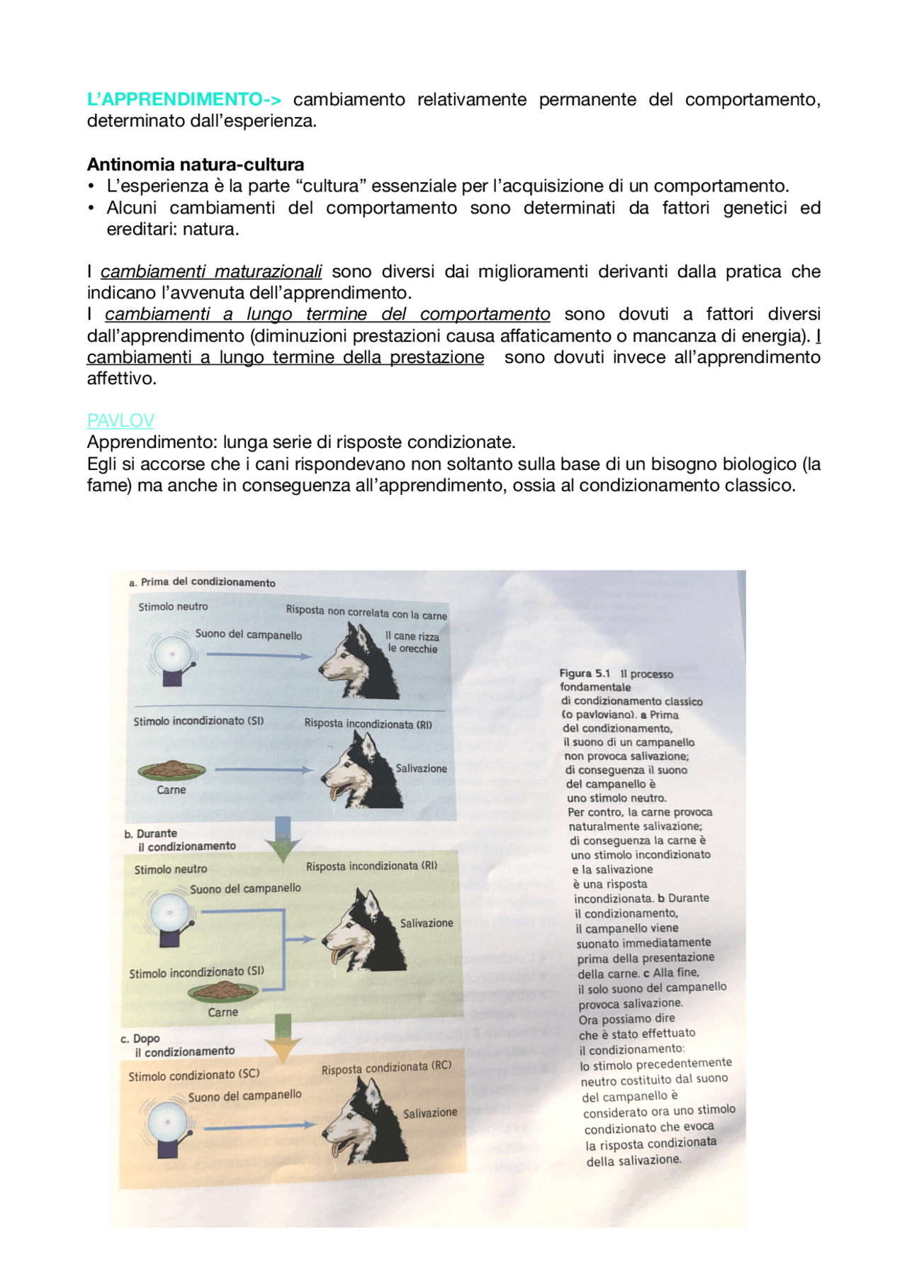 Riassunto Apprendimento Docsity