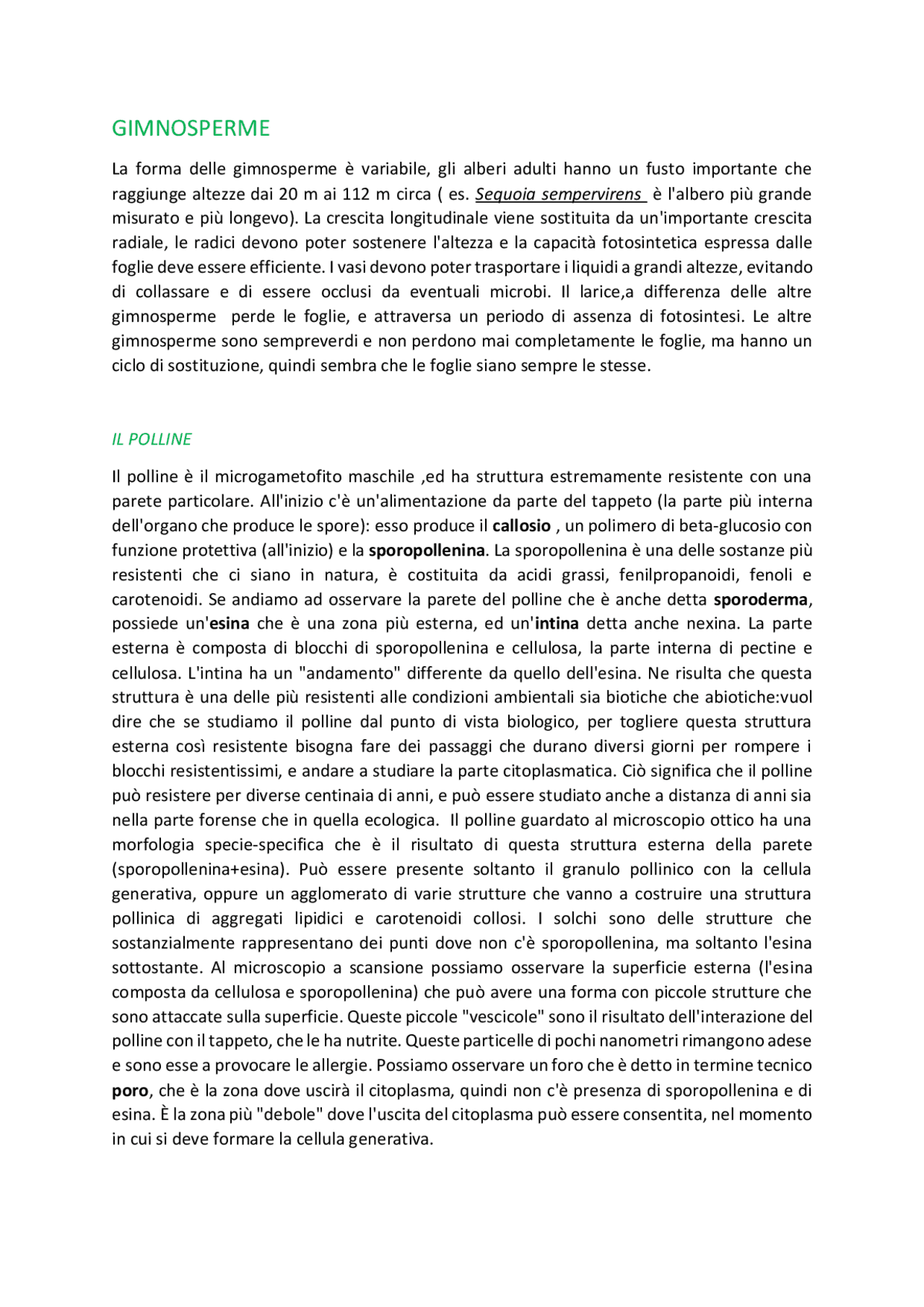 Gimnosperme Botanica Scienze Biologiche Docsity