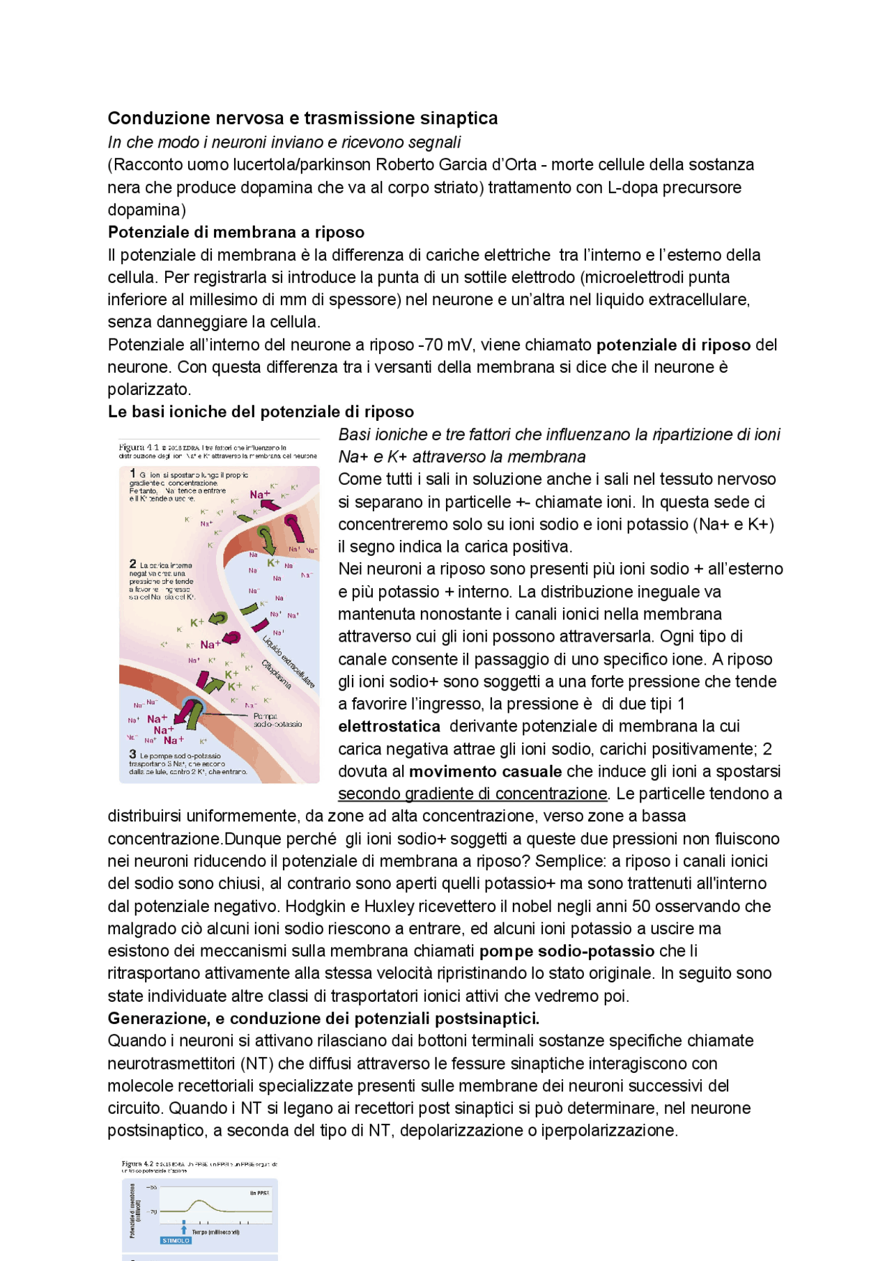 Libro Psicobiologia Pinel Riassunto Cap 4 Appunti Di Biologia Docsity