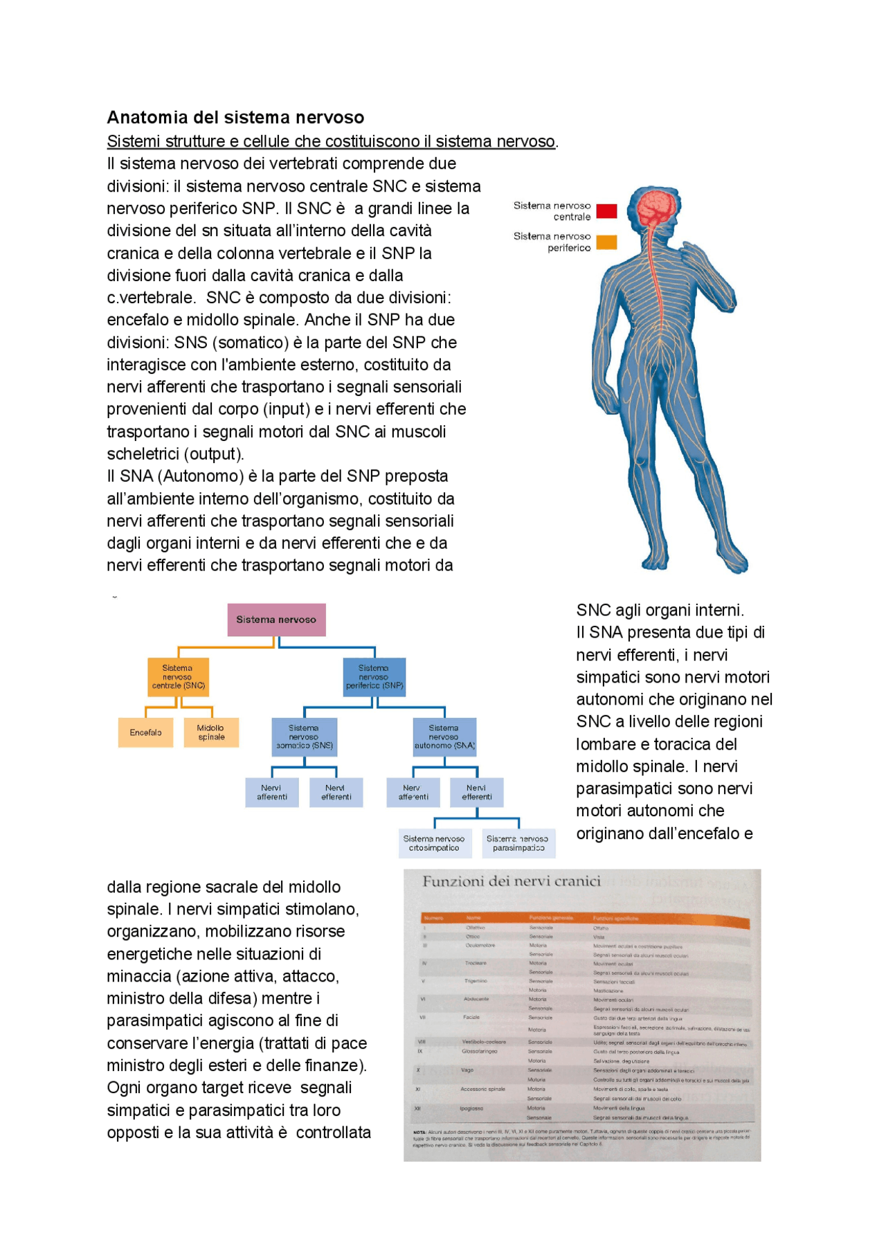 Libro Psicobiologia Pinel Cap 3 Docsity