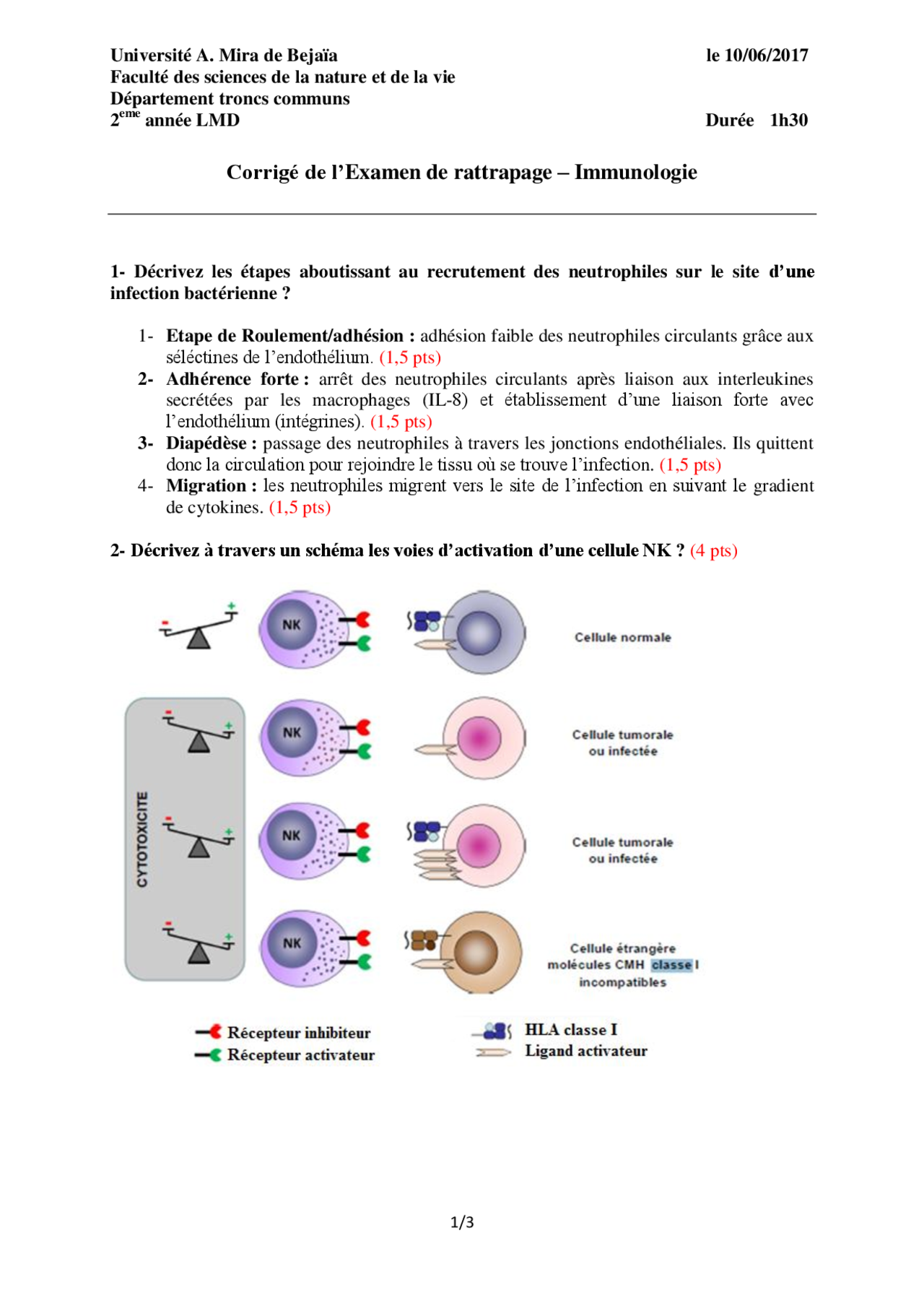 Rattrapage Dimmunologie Docsity