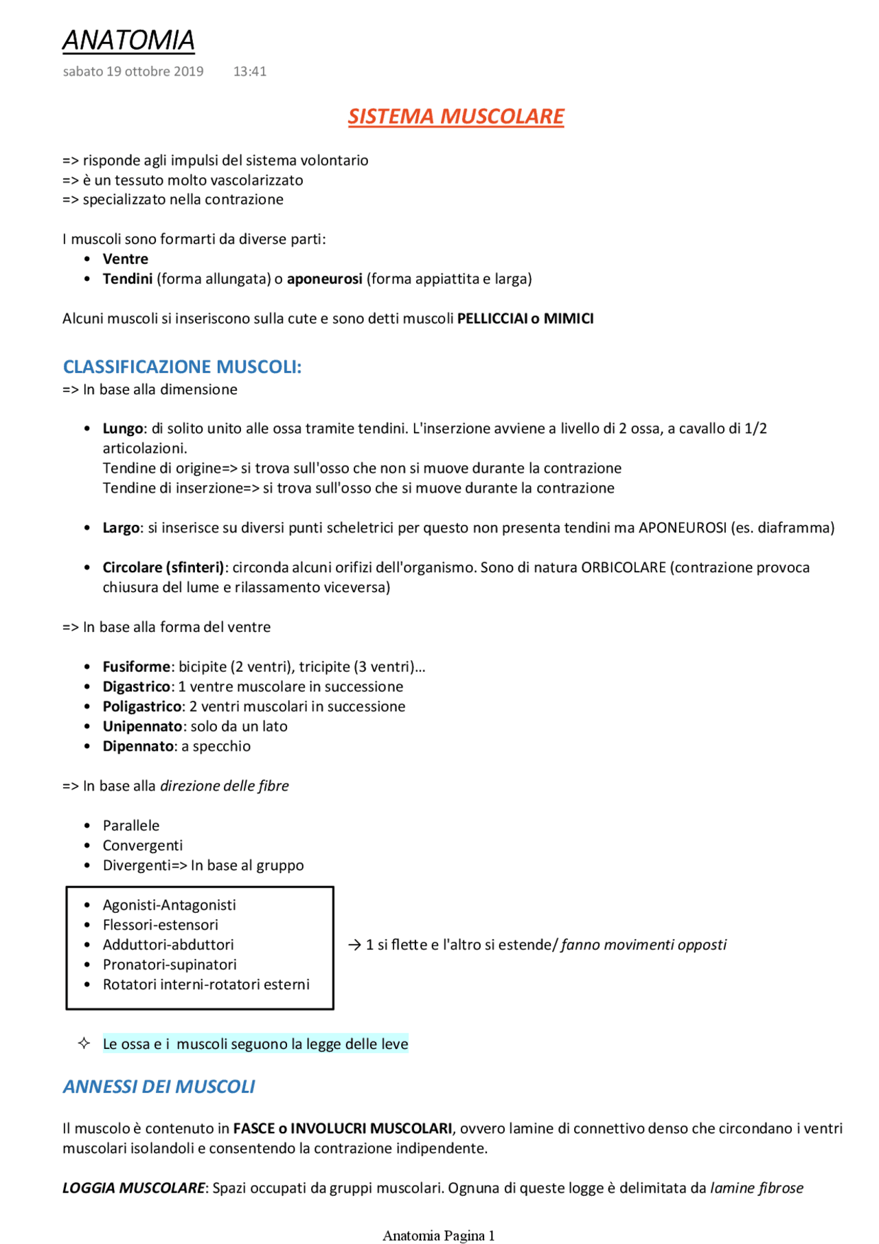 Anatomia Infermieristica Docsity
