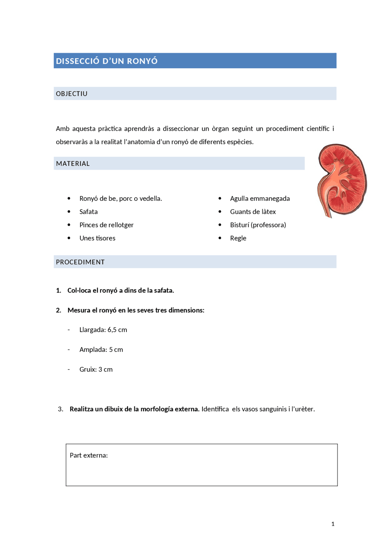 Biologia. Practica de ronyon. Laboratorio - Docsity