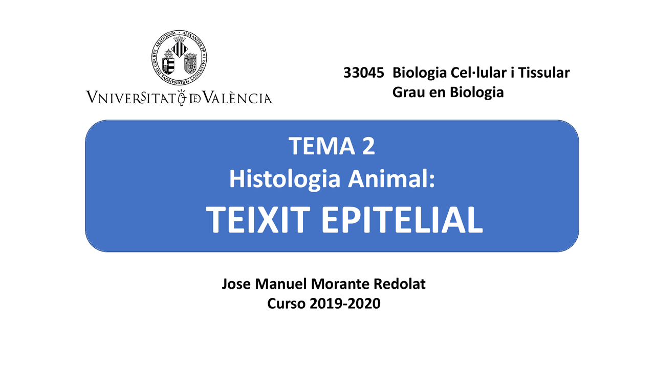 Tema 2 Tejido Epitelial Diapositivas De Biología Celular Y Molecular