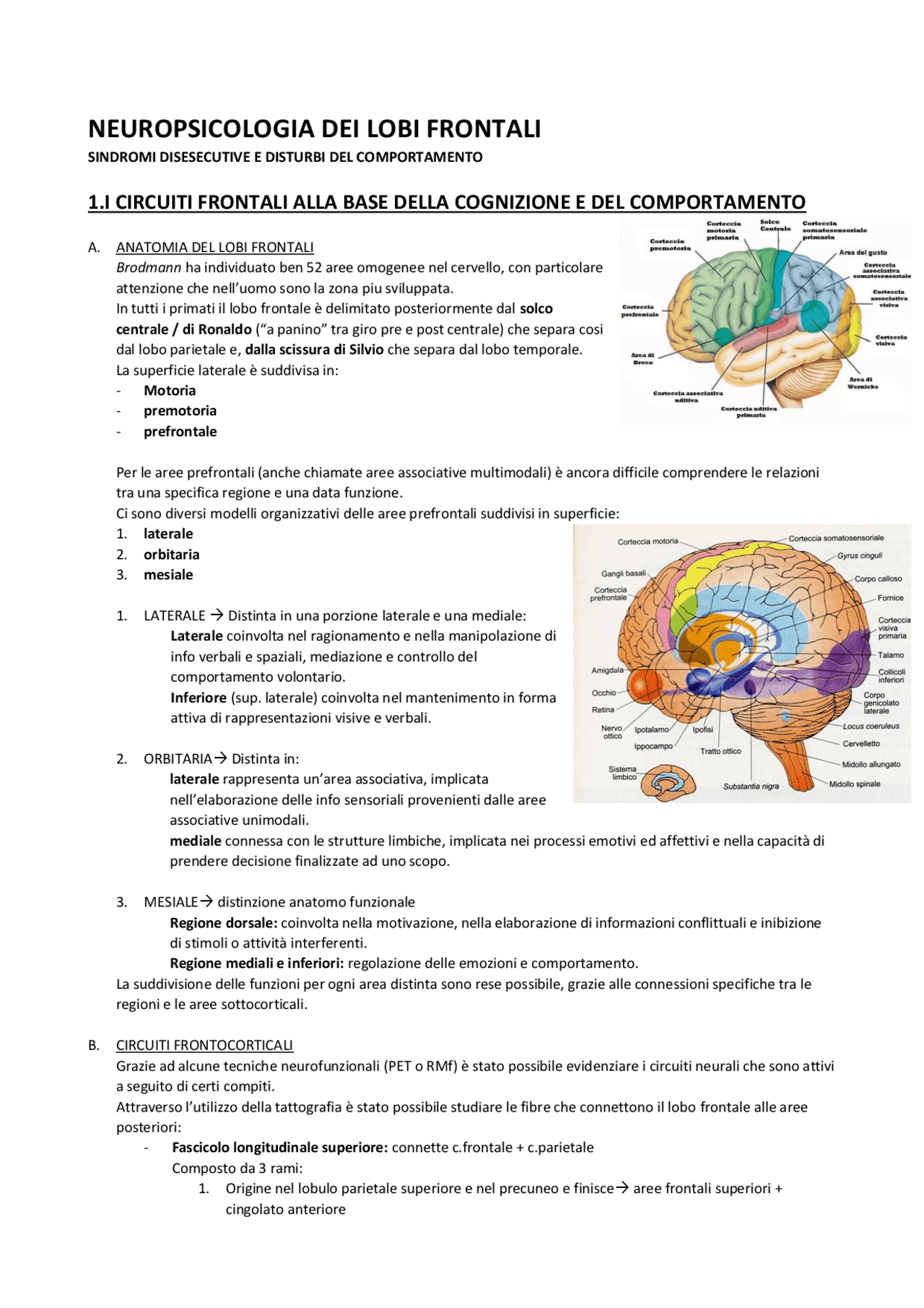 Neuropsicologia dei Lobi Frontali - Docsity