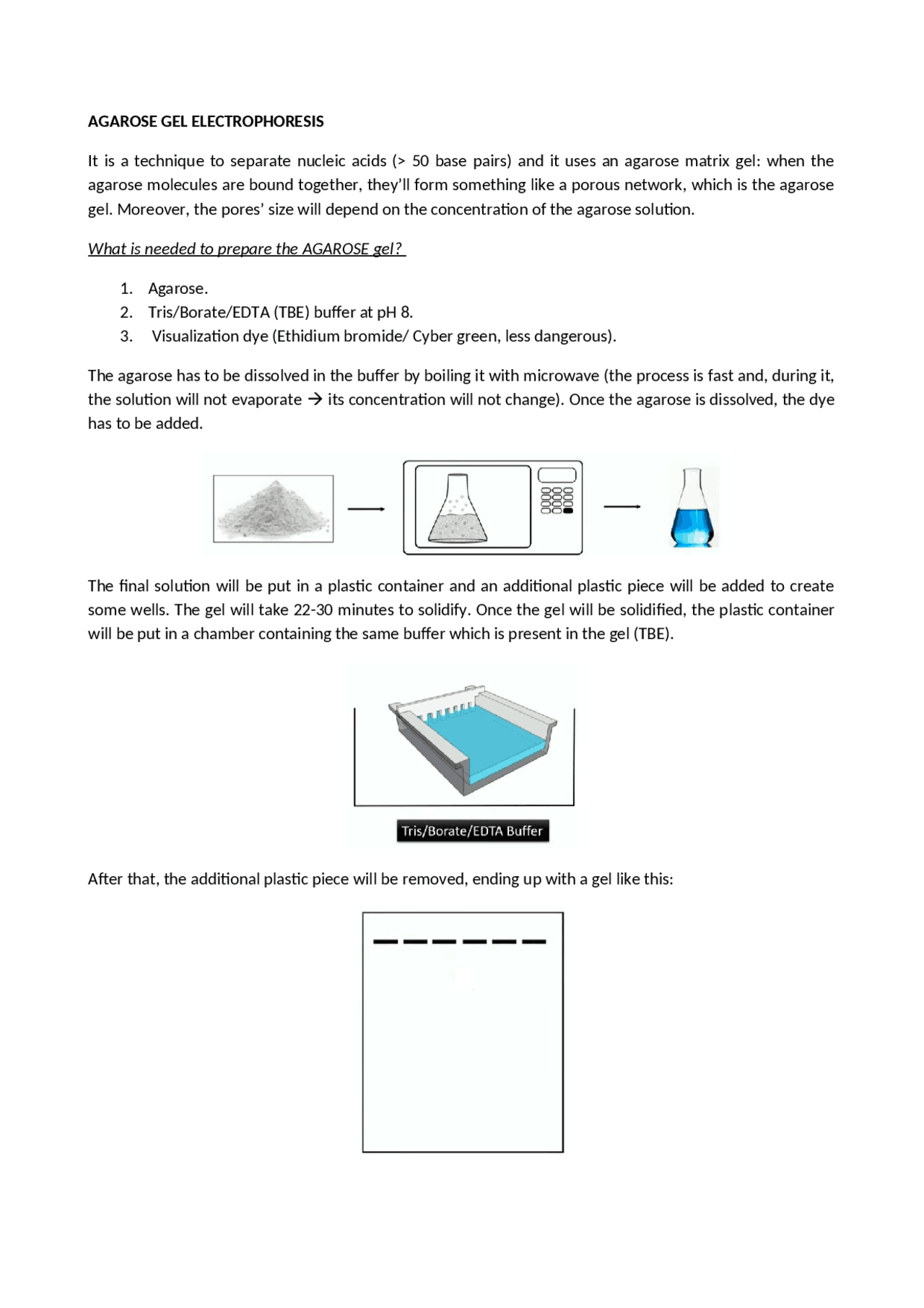 Gel Electrophoresis Technique Docsity