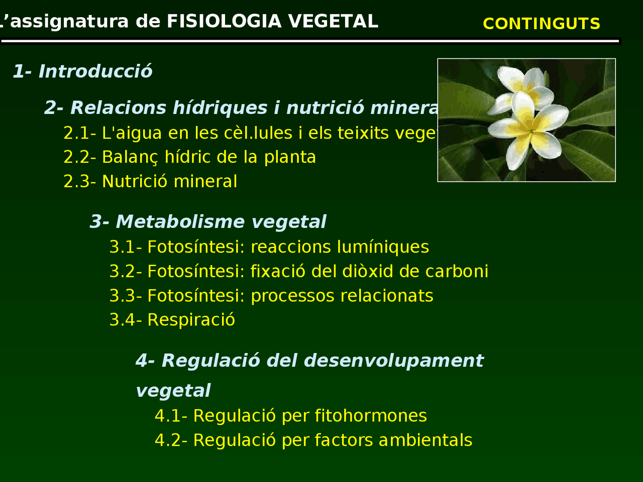 Apuntes fisio vegetal - Docsity