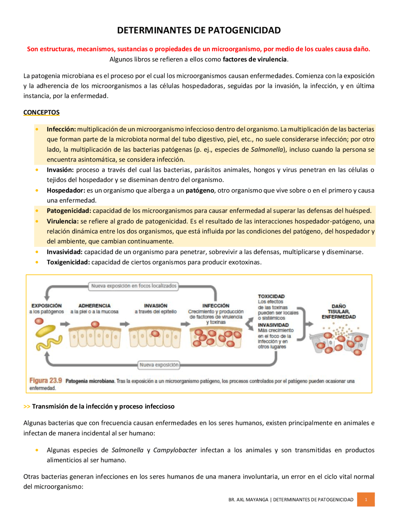 Determinantes de patogenicidad o Factores de virulencia | Resúmenes de ...