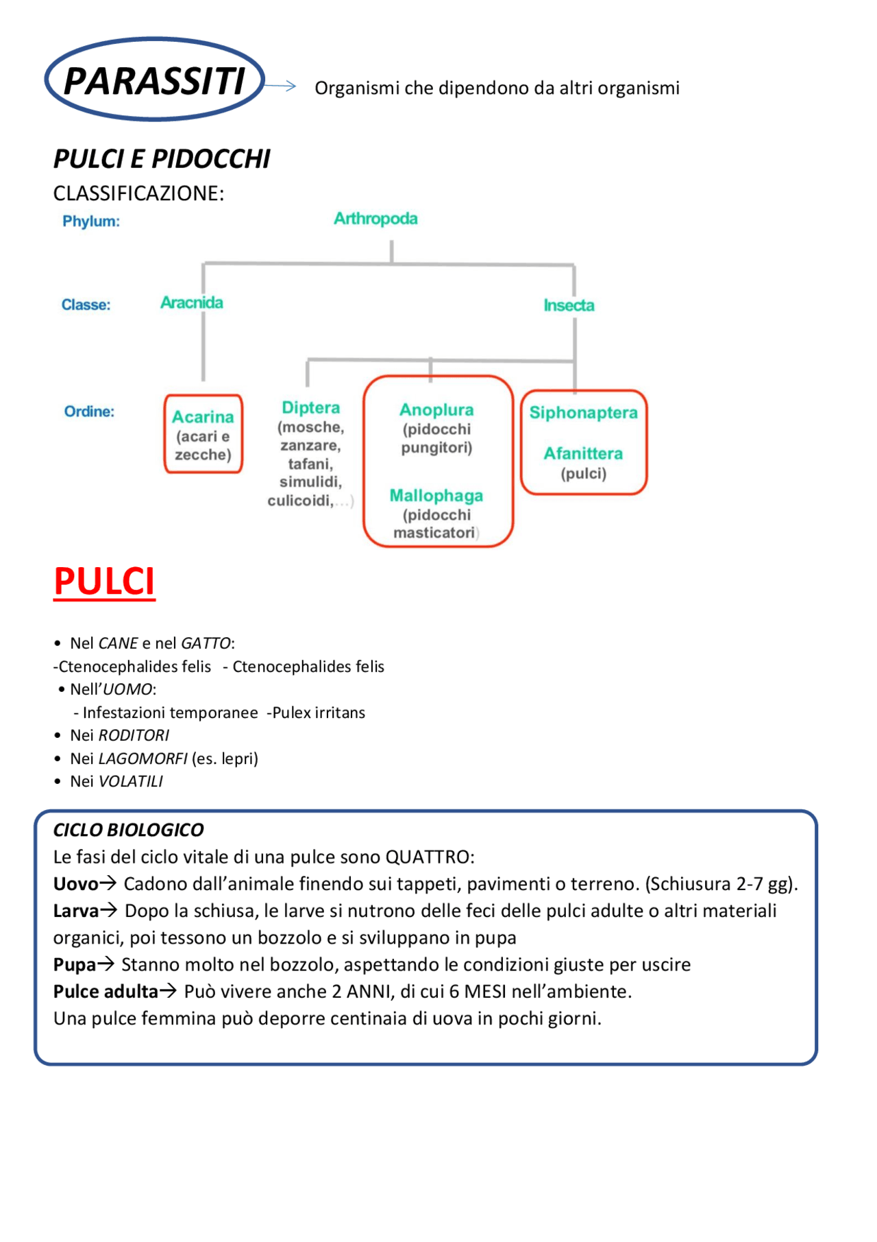 Appunti E Slide Di Pediatria Docsity