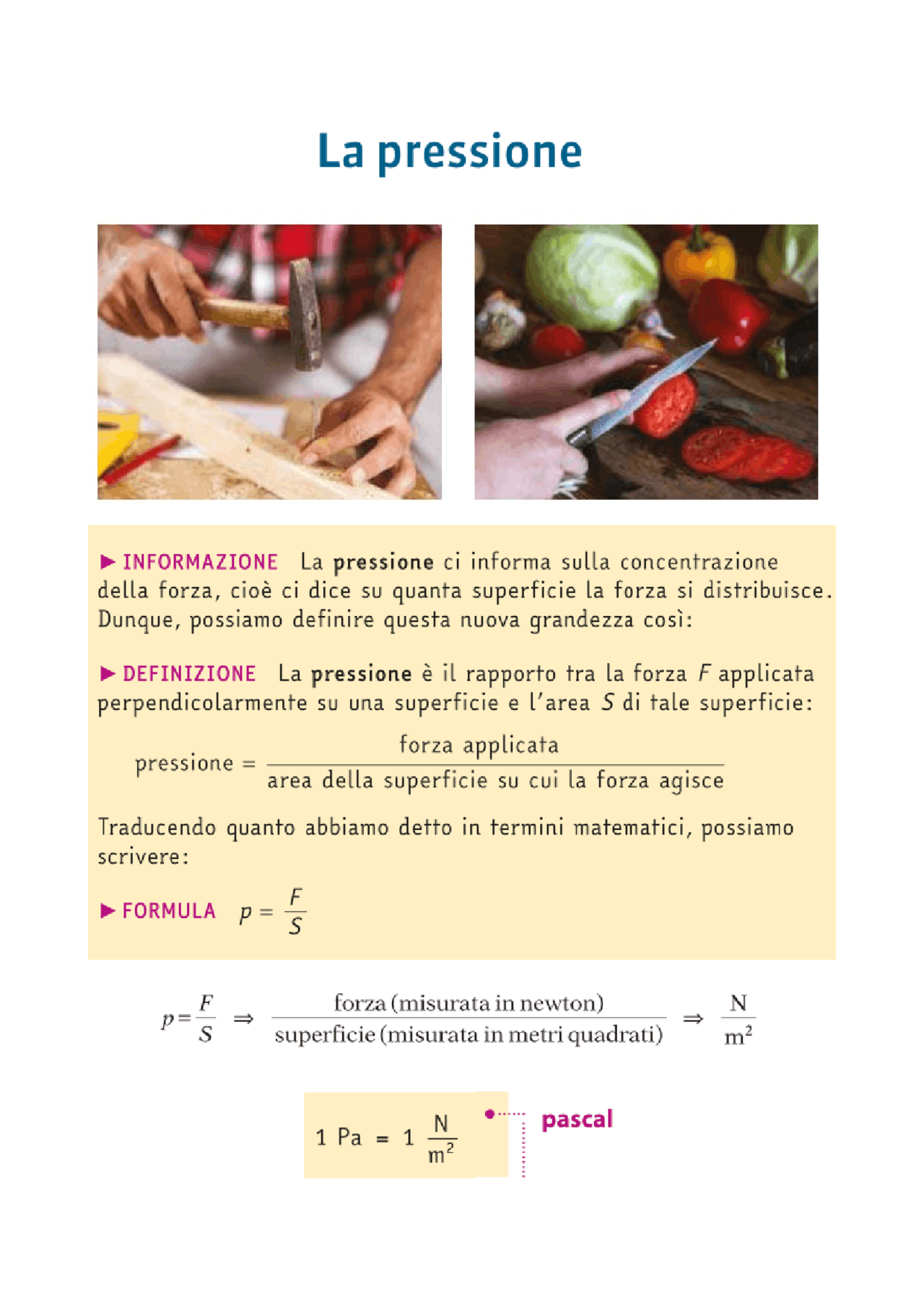 Fluidi e pressione fisica | Appunti di Fisica | Docsity