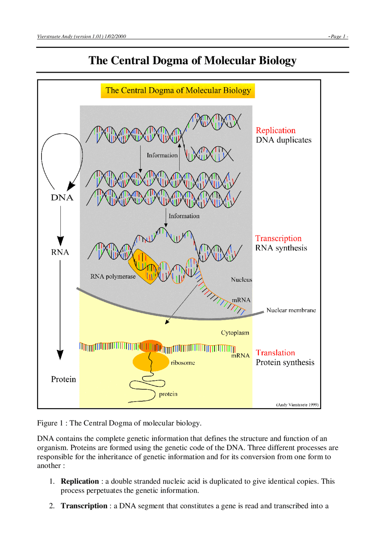 Principle Of Genetics Docsity