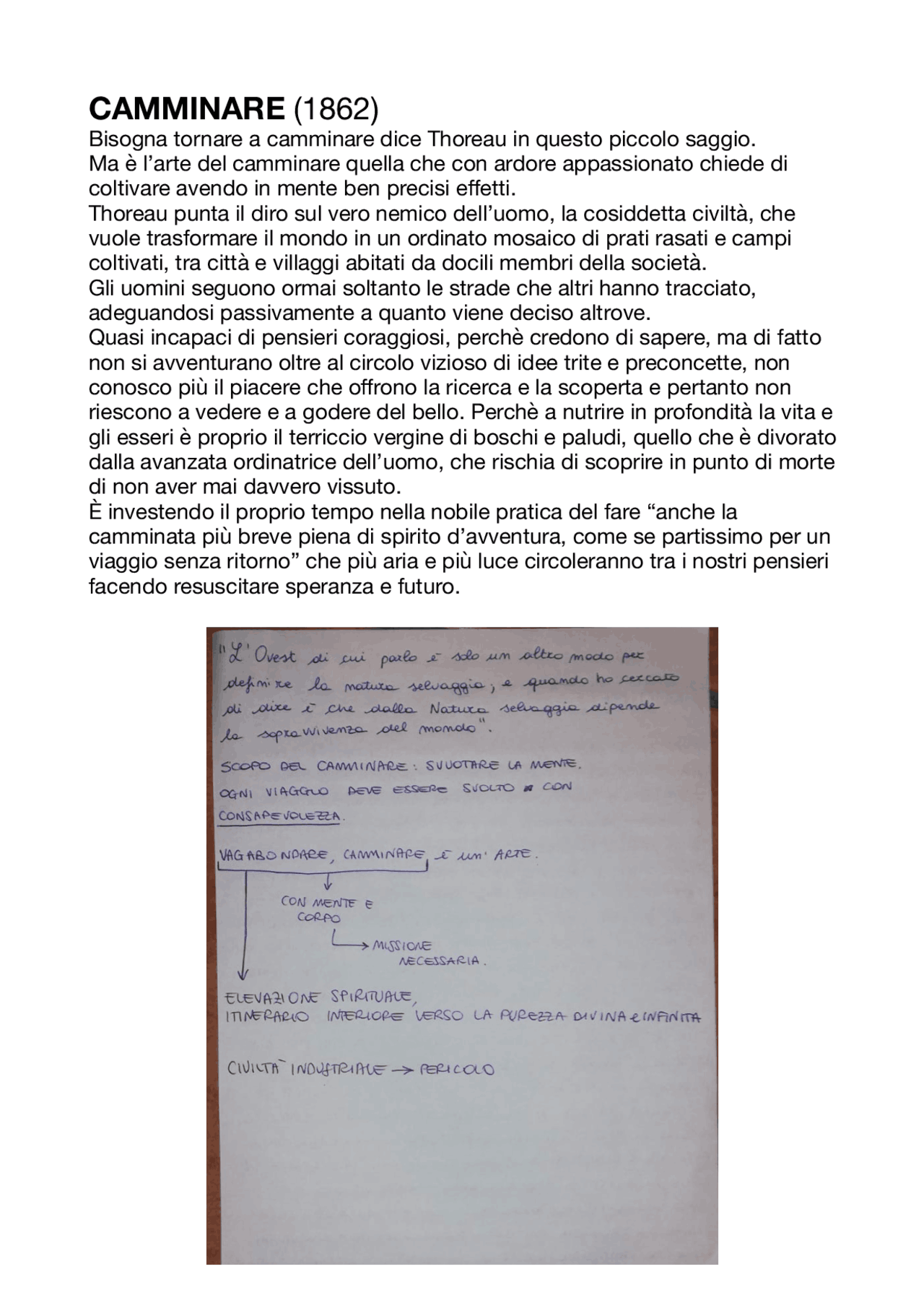Appunti Storia Del Camminare Docsity