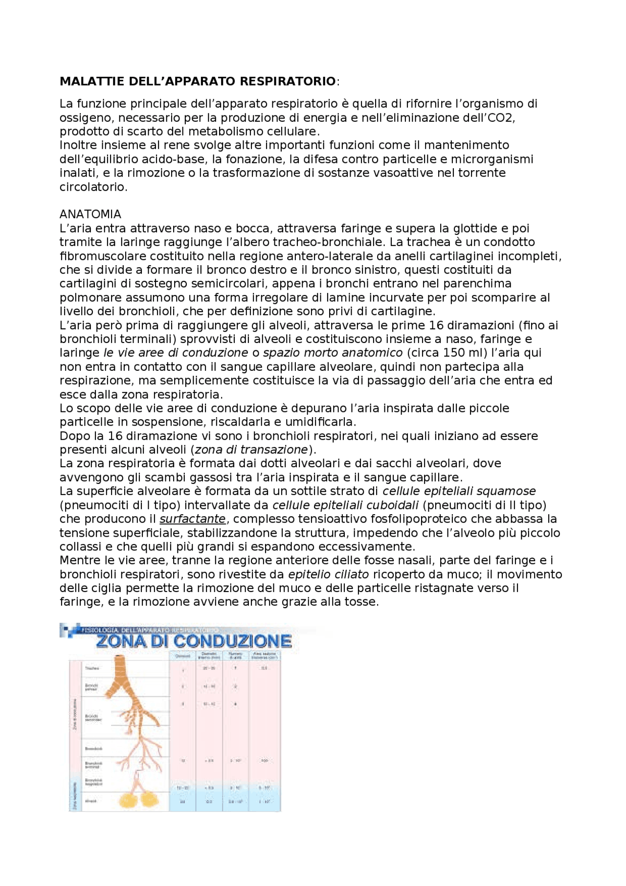Introduzione Apparato Respiratorio Docsity