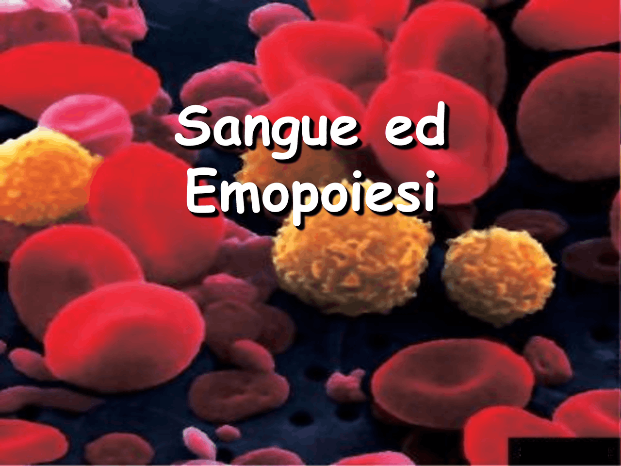 Patologia, sangue ed emopoiesi - Docsity