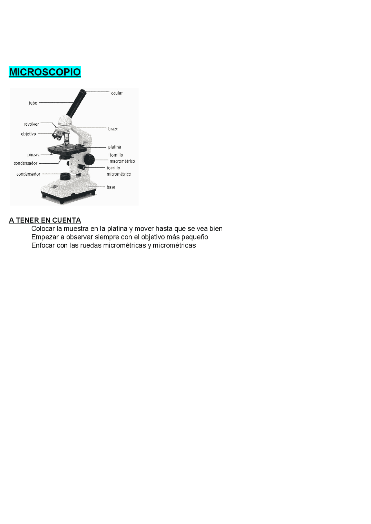 Prácticas Biología Celular Docsity