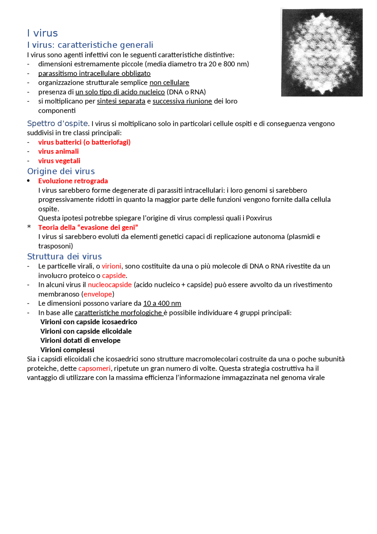 Virus E Batteri Docsity