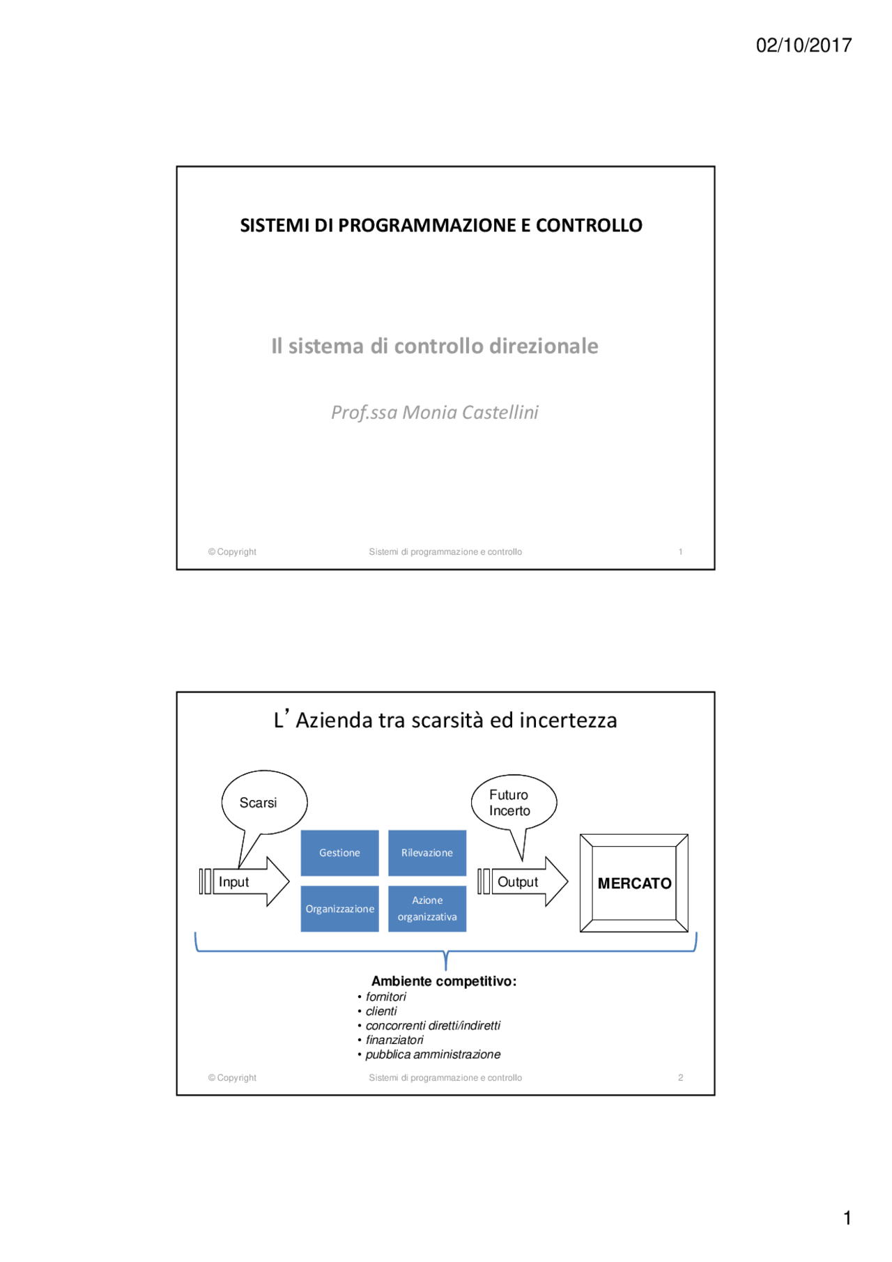 Programmazione E Controllo Docsity
