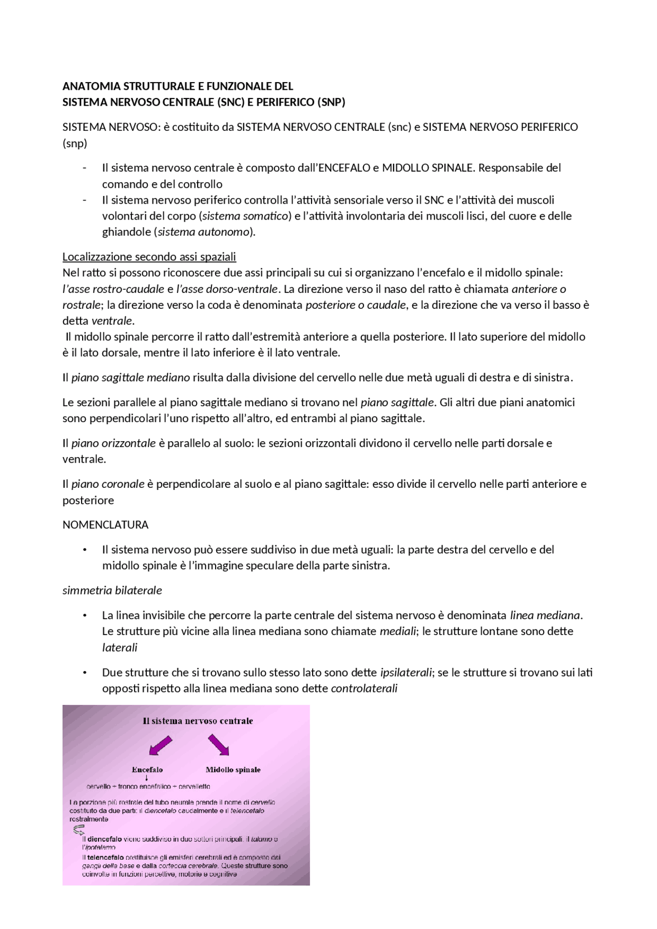 Neuroscienze Ripasso Docsity