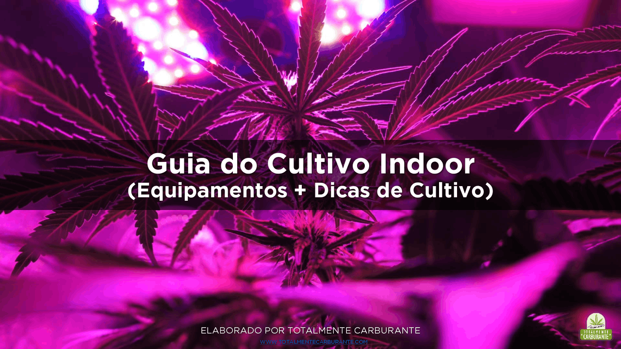 Isso Só é Um Teste Teste Docsity