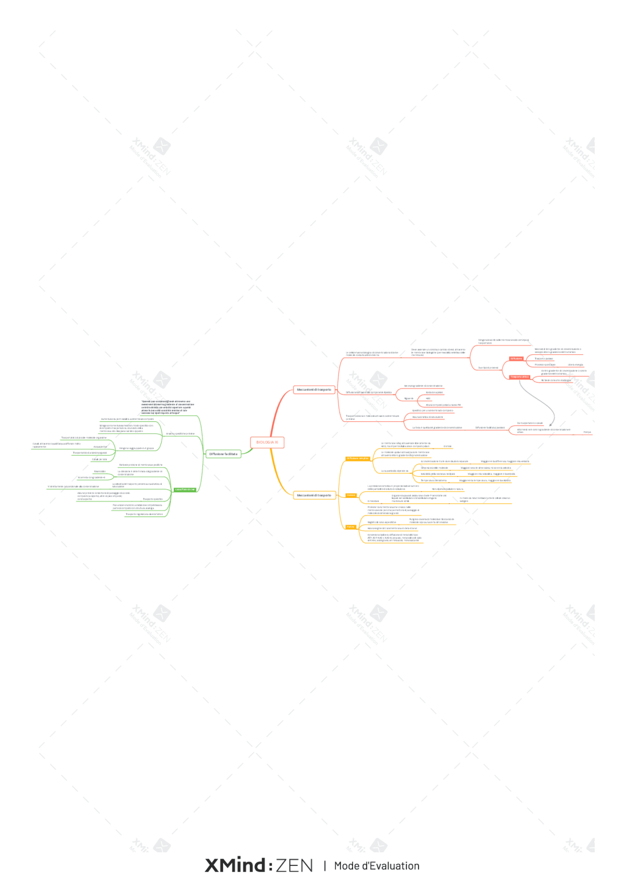 Mappe Concettuali Di Biologia Cellulare Docsity