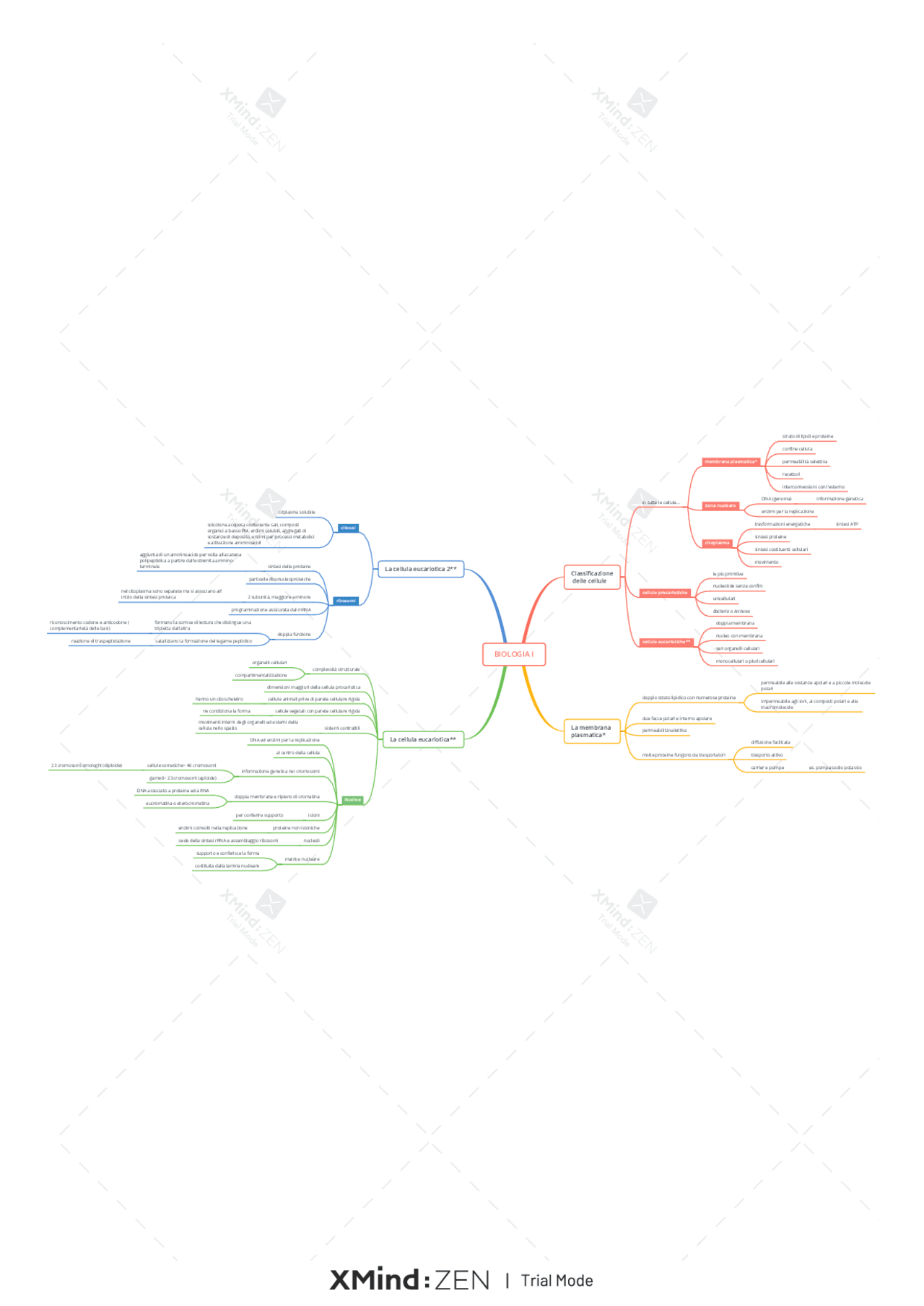 Mappe Concettuali Di Biologia Cellulare Schemi E Mappe Concettuali Di