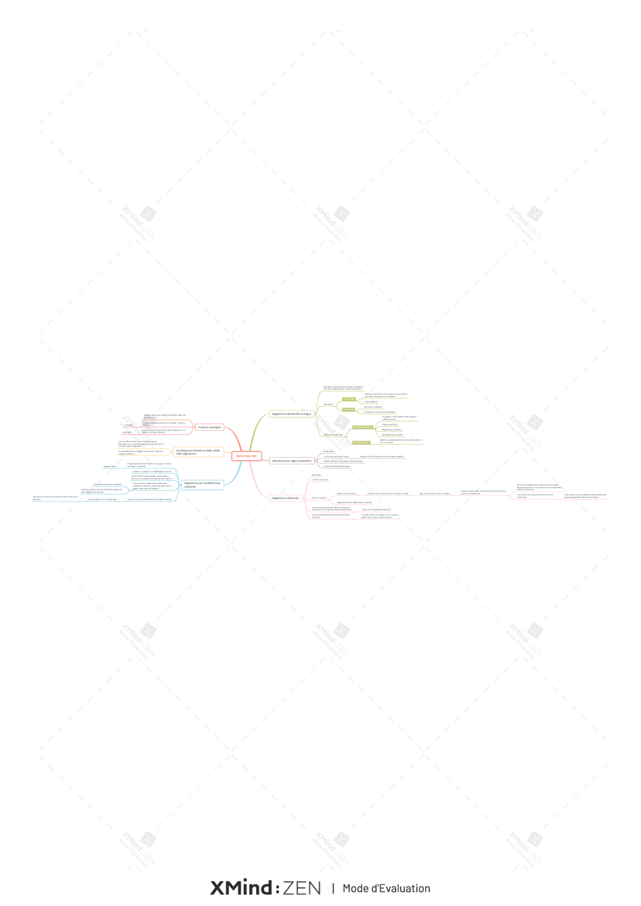 Mappe Concettuali Di Biologia Cellulare Docsity