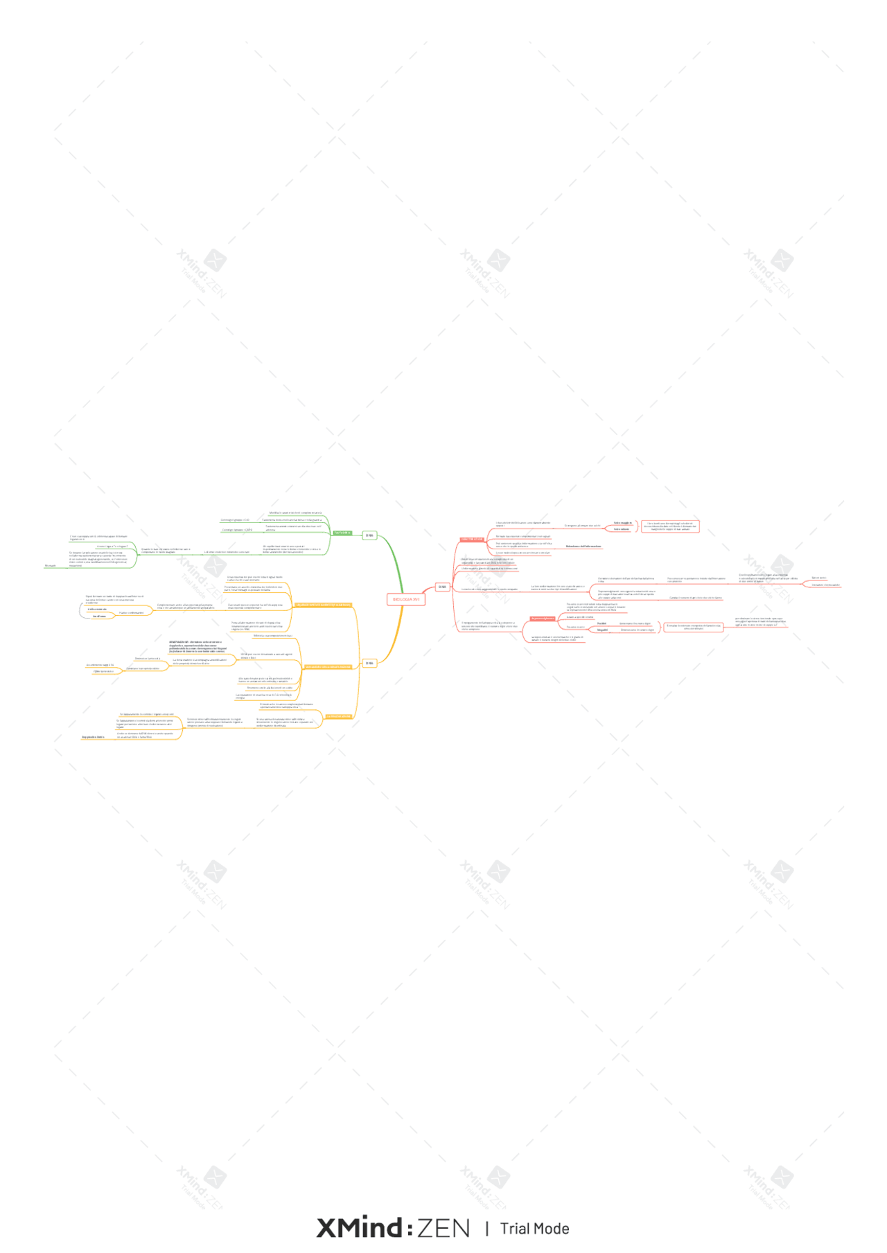 Mappe Concettuali Di Biologia Cellulare Docsity