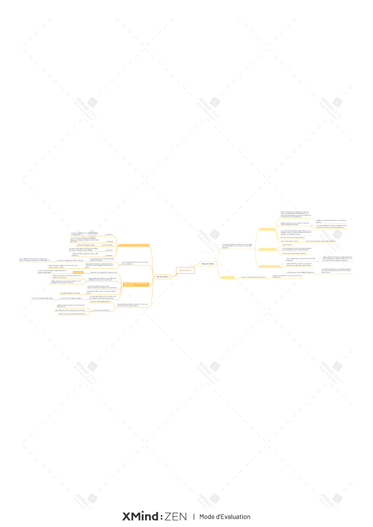 Mappe Concettuali Di Biologia Cellulare Docsity