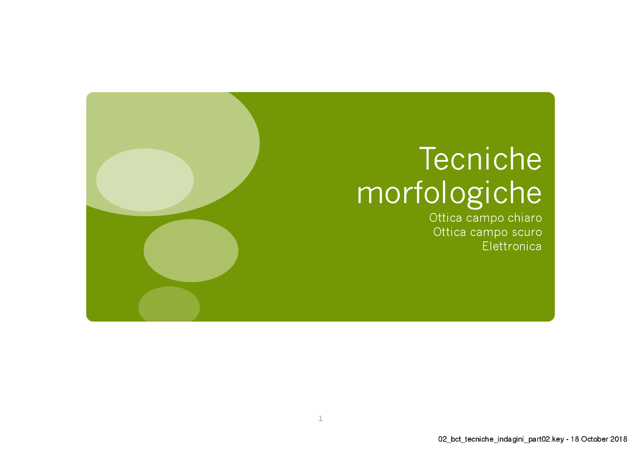 Tecniche Di Laboratorio 2 Docsity