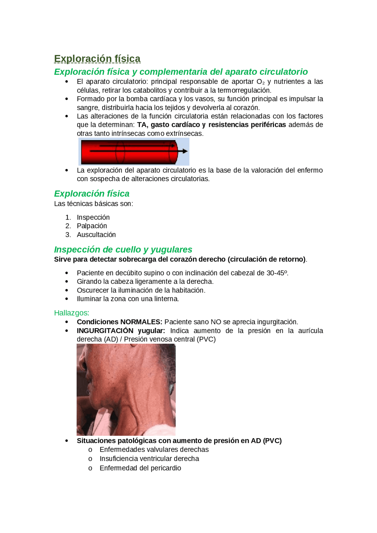 Fisiopatología Cardiovascular Docsity