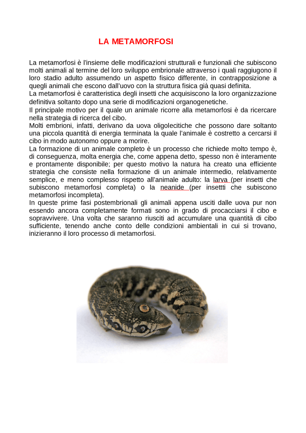 Documenti Per Varie Materie Docsity