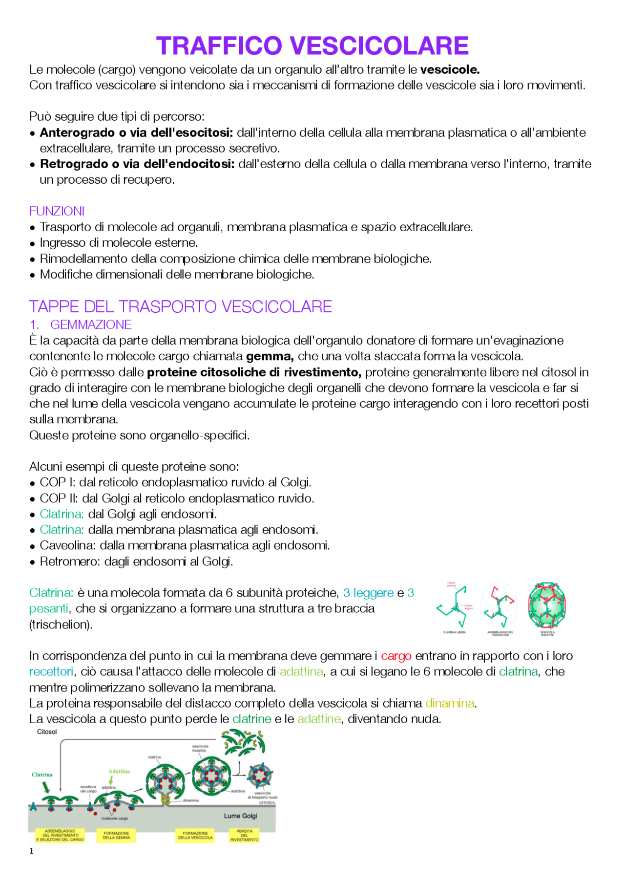 Appunti Di Biologia Terza Parte Docsity