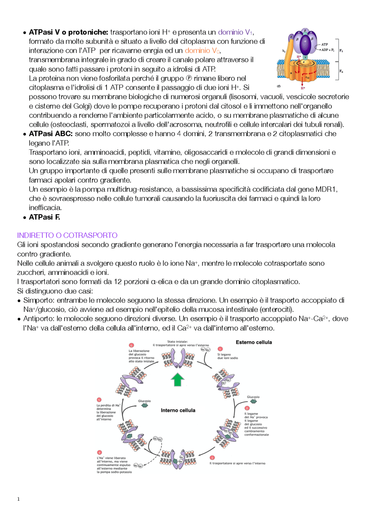 Appunti Di Biologia Seconda Parte Docsity