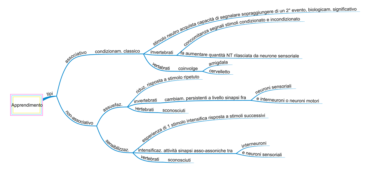 Definizione Apprendimento Schémas De Psychologie Docsity