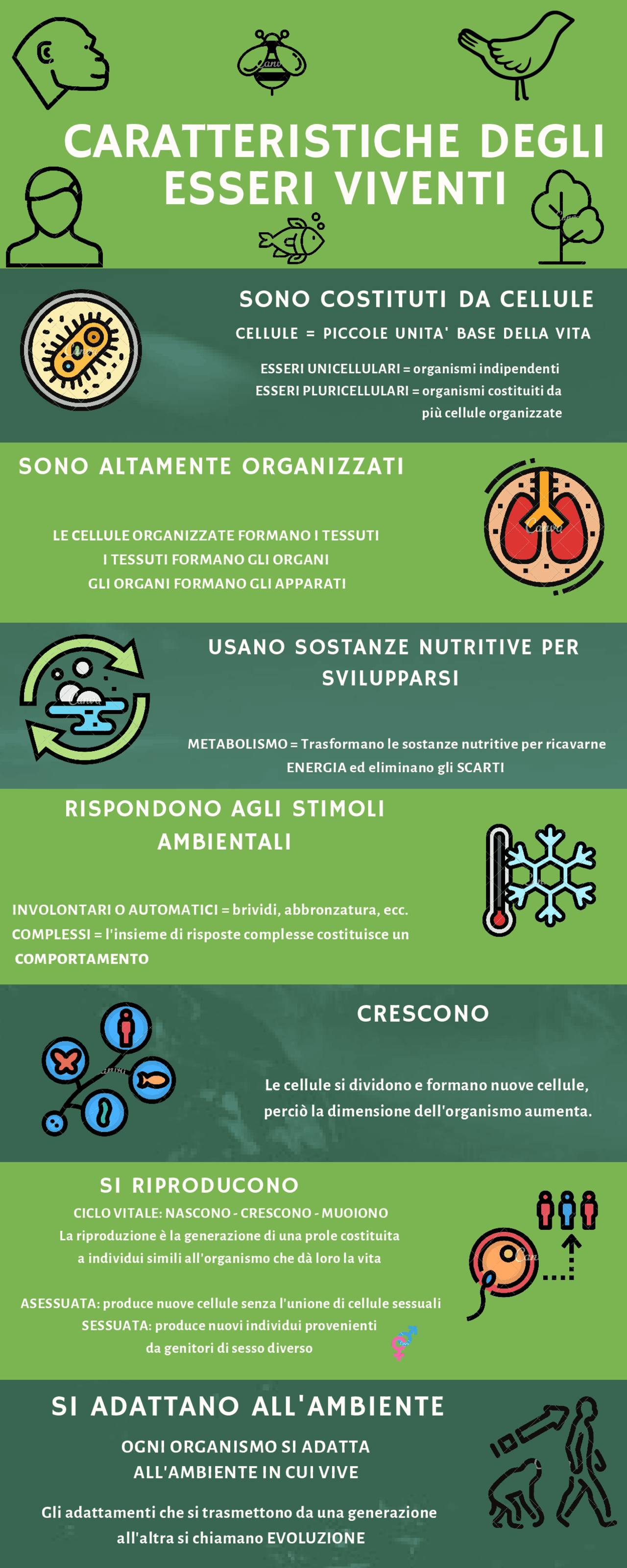 Caratteristiche Esseri Viventi Docsity