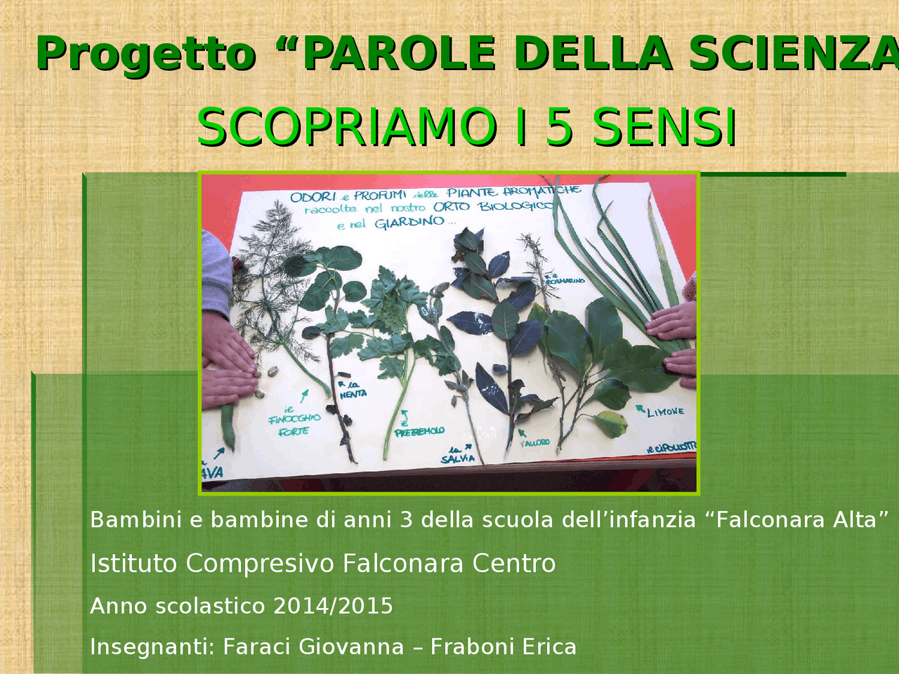 Pedagogia Generale E Speciale Guide Progetti E Ricerche Di Pedagogia