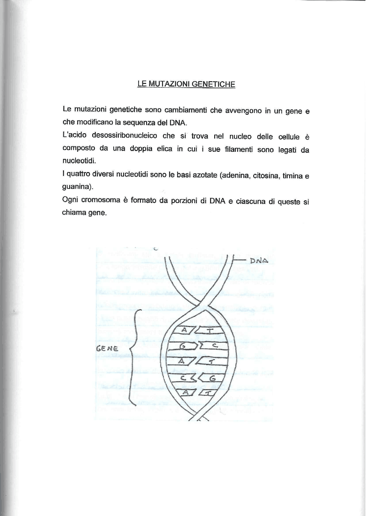 Le Mutazioni Genetiche Docsity