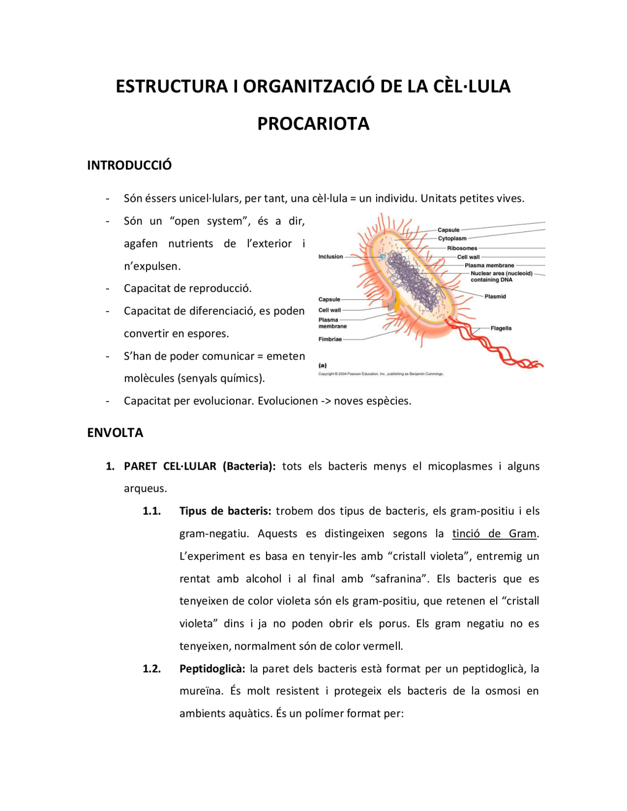 Tema 6 Estructura Procariota Resúmenes De Biología Docsity