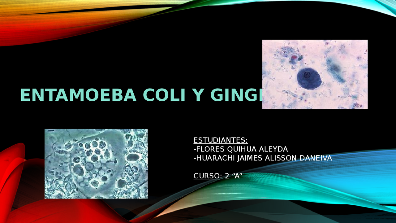 Entamoeba coli y entamoeba gingivalis | Diapositivas de Parasitología ...