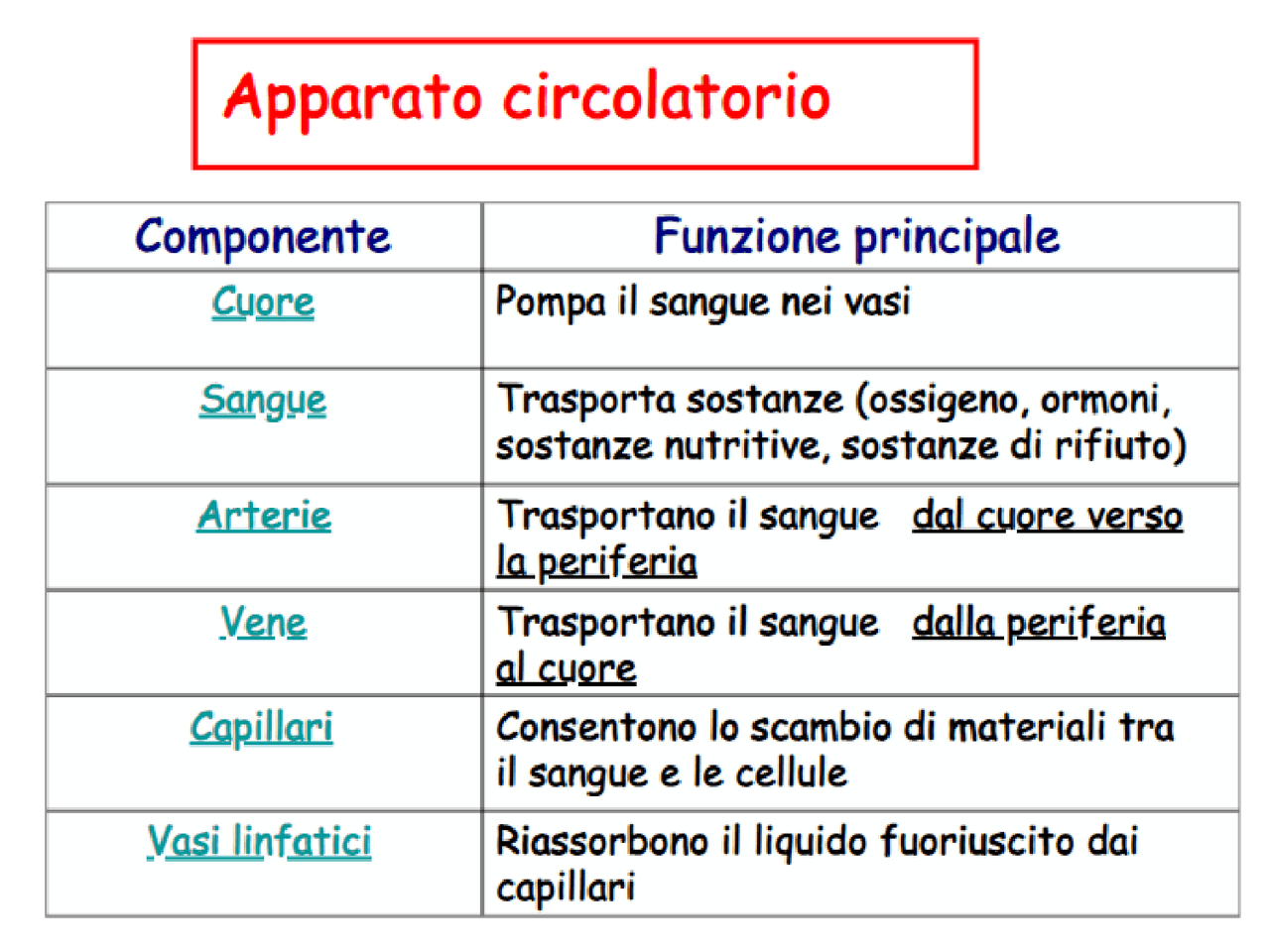 Slide E Mappe Concettuali Sistema Circolatorio Docsity