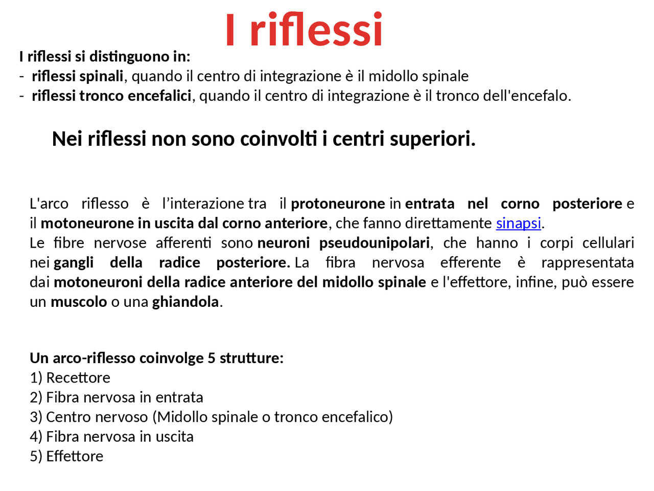 Slide E Mappe Concettuali Fisiologia I Riflessi Spinali Docsity