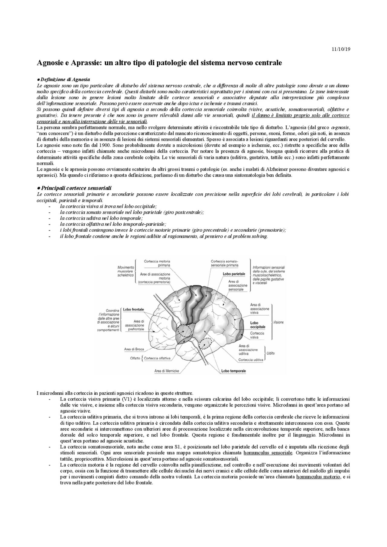 Agnosie E Aprassie Un Altro Tipo Di Patologie Del Sistema Nervoso