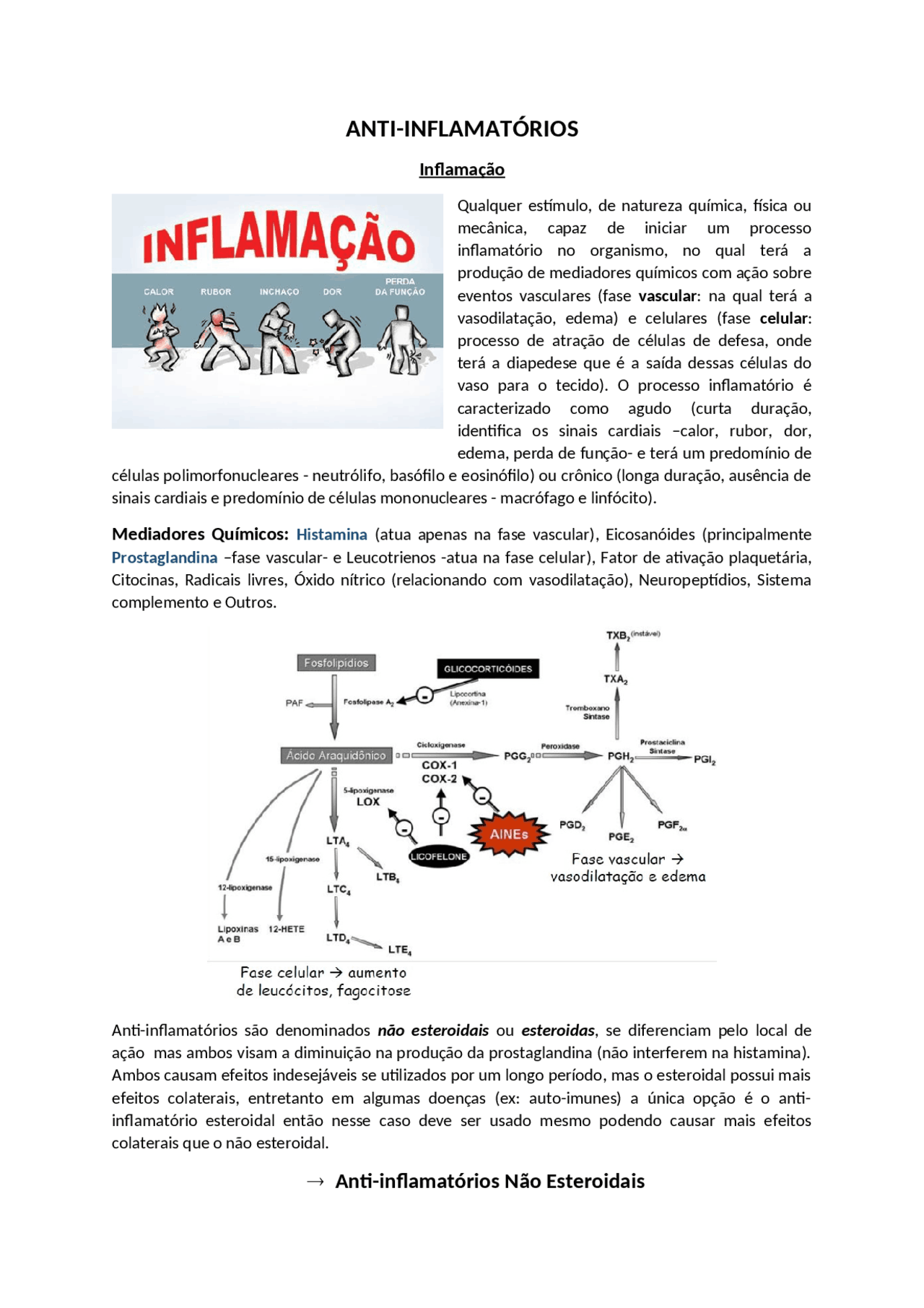 Medicamentos Anti Inflamatórios Docsity