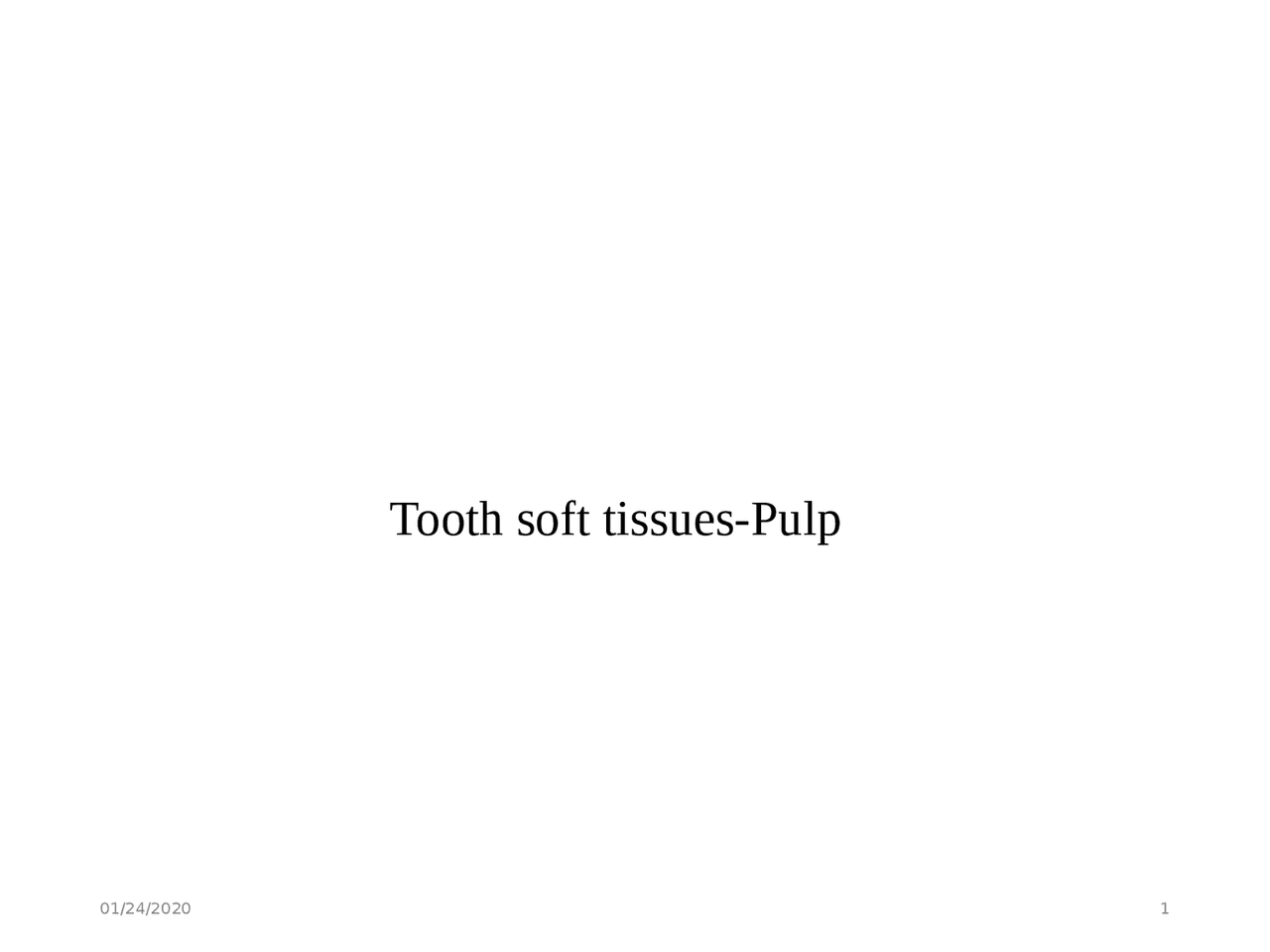 Tooth soft tissue - Pulp | Study notes Histology | Docsity