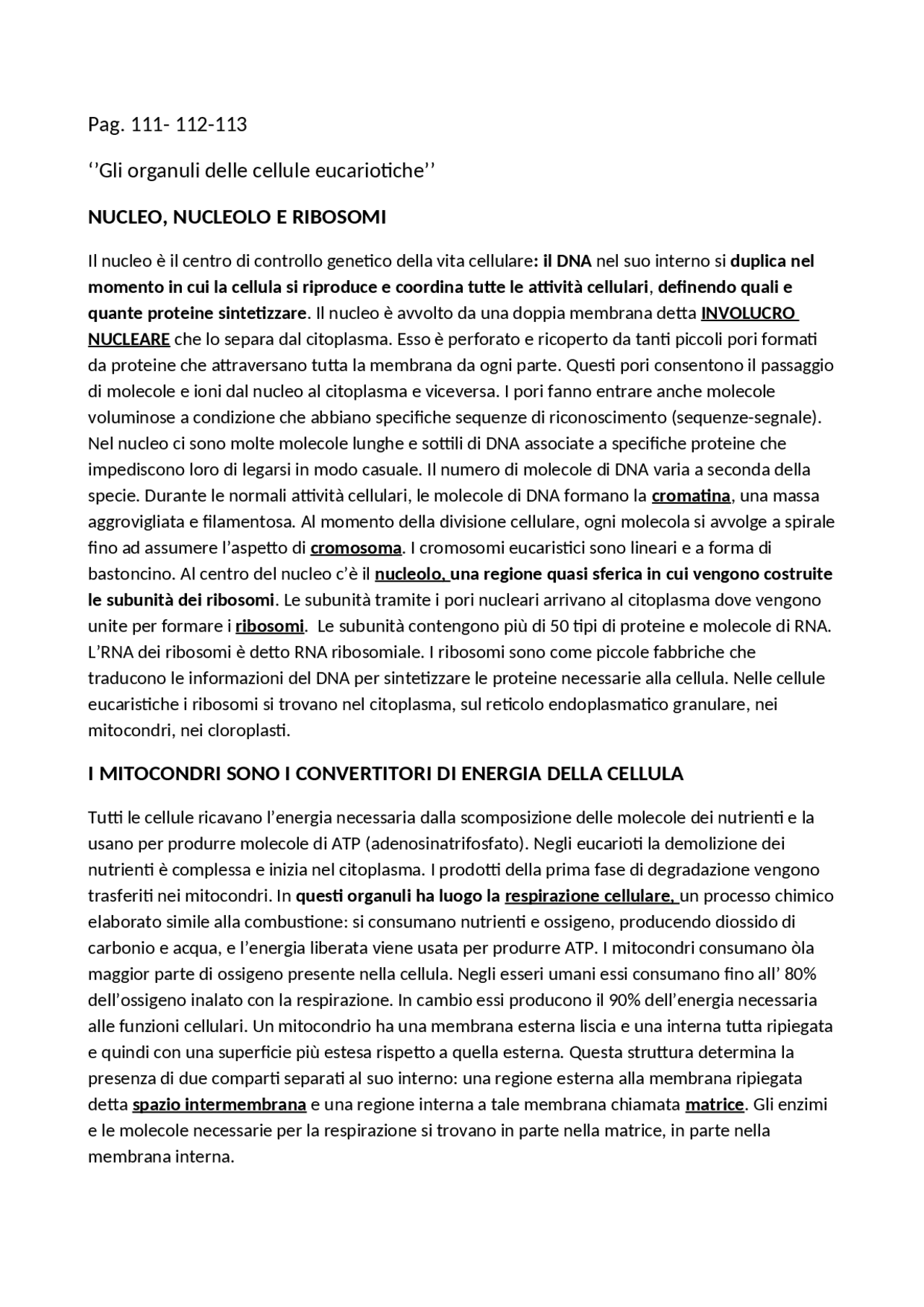 Le Cellule Eucariotiche Docsity